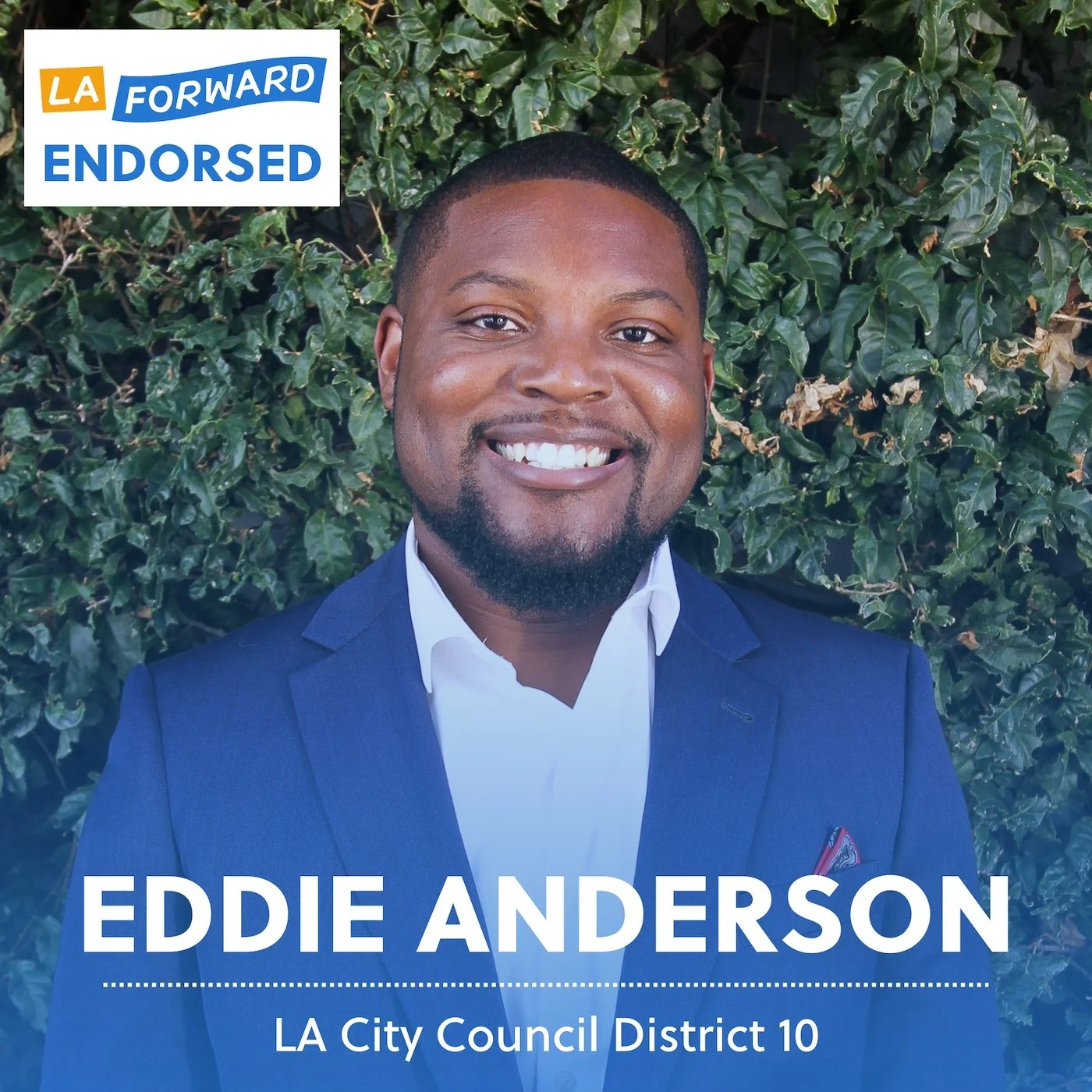 Voter Guide — LA Forward