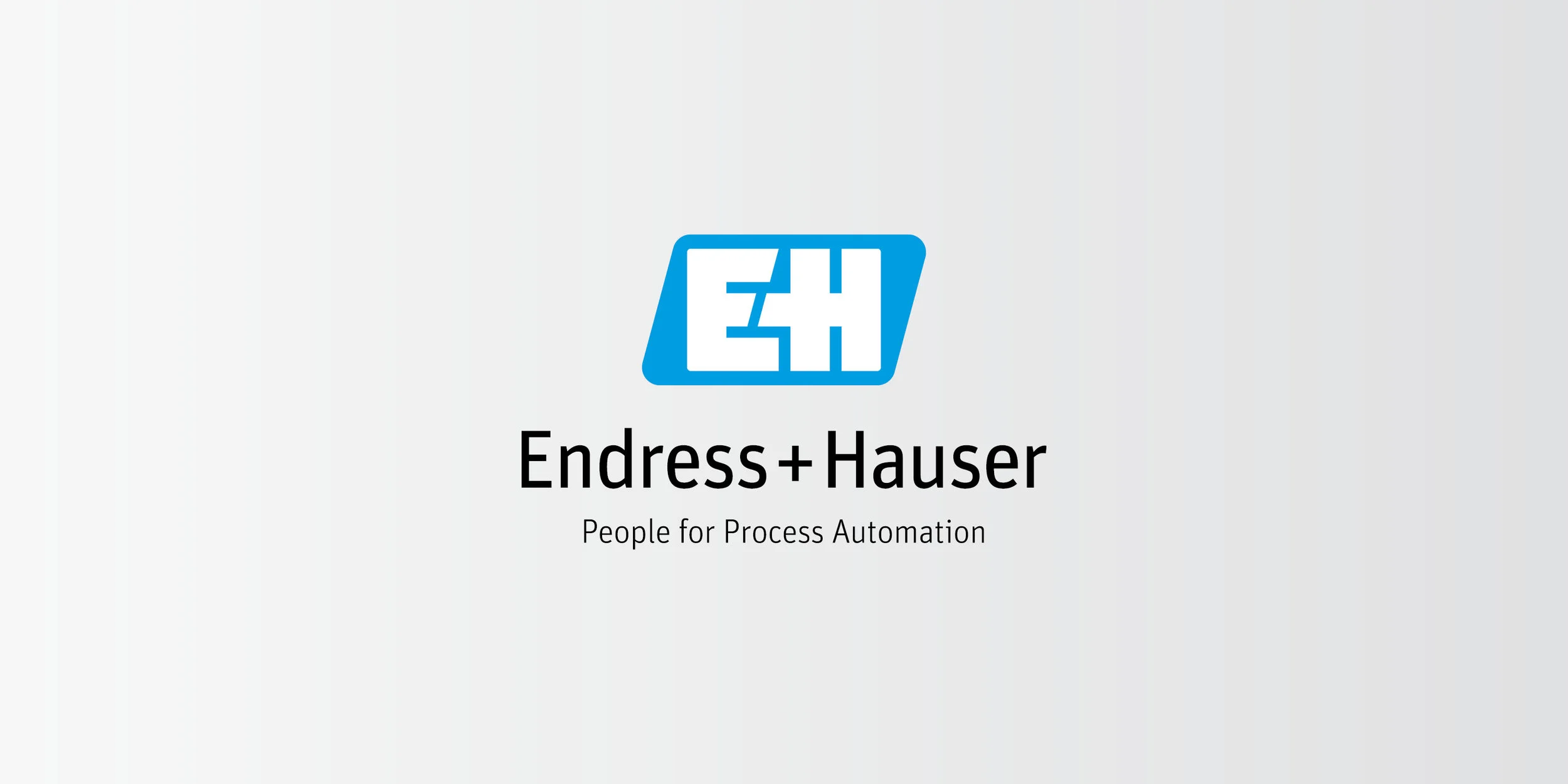 Endress+Hauser Logo Redesign — Henssler und Schultheiss Design