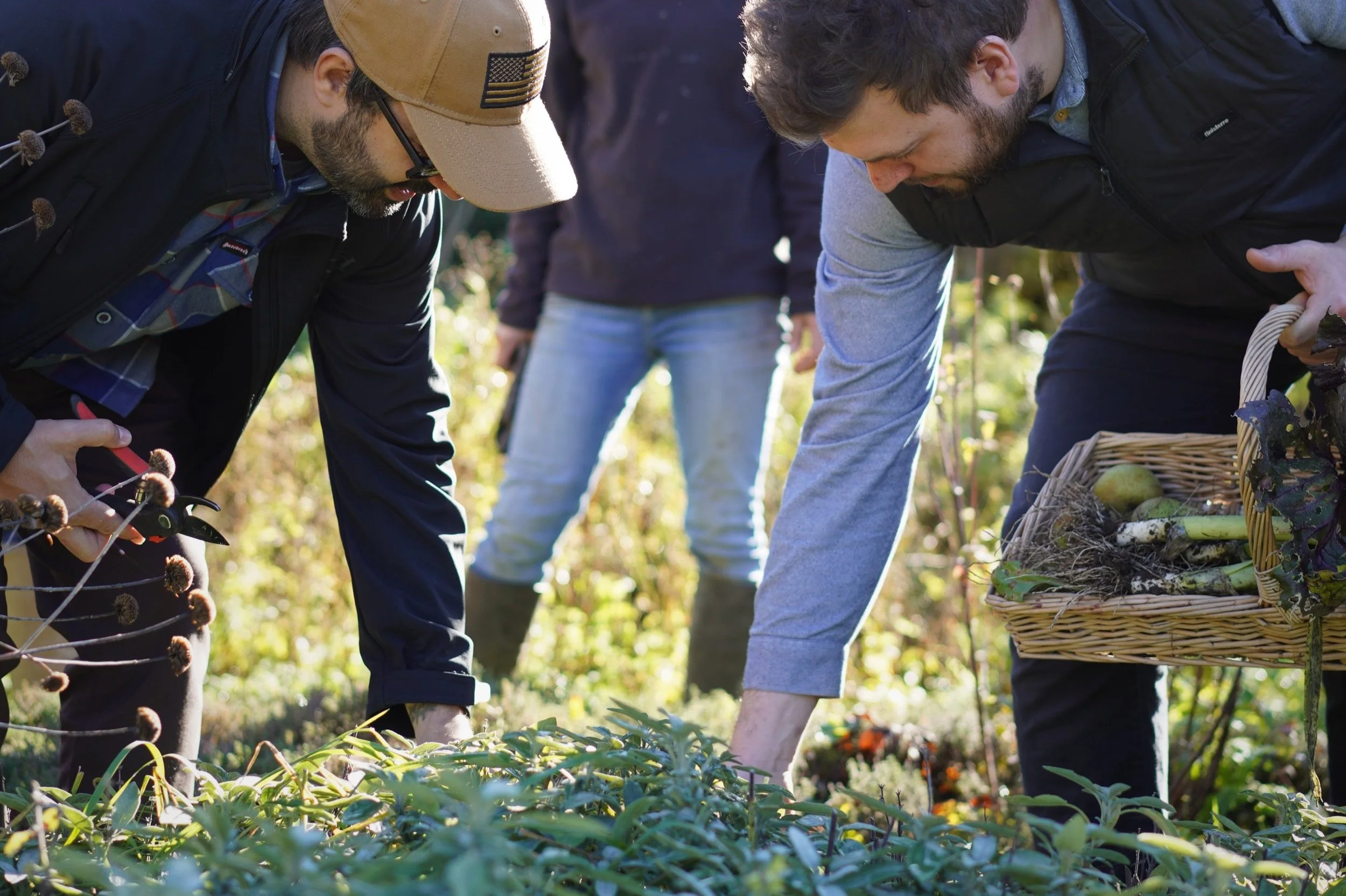 Pythouse Kitchen Garden