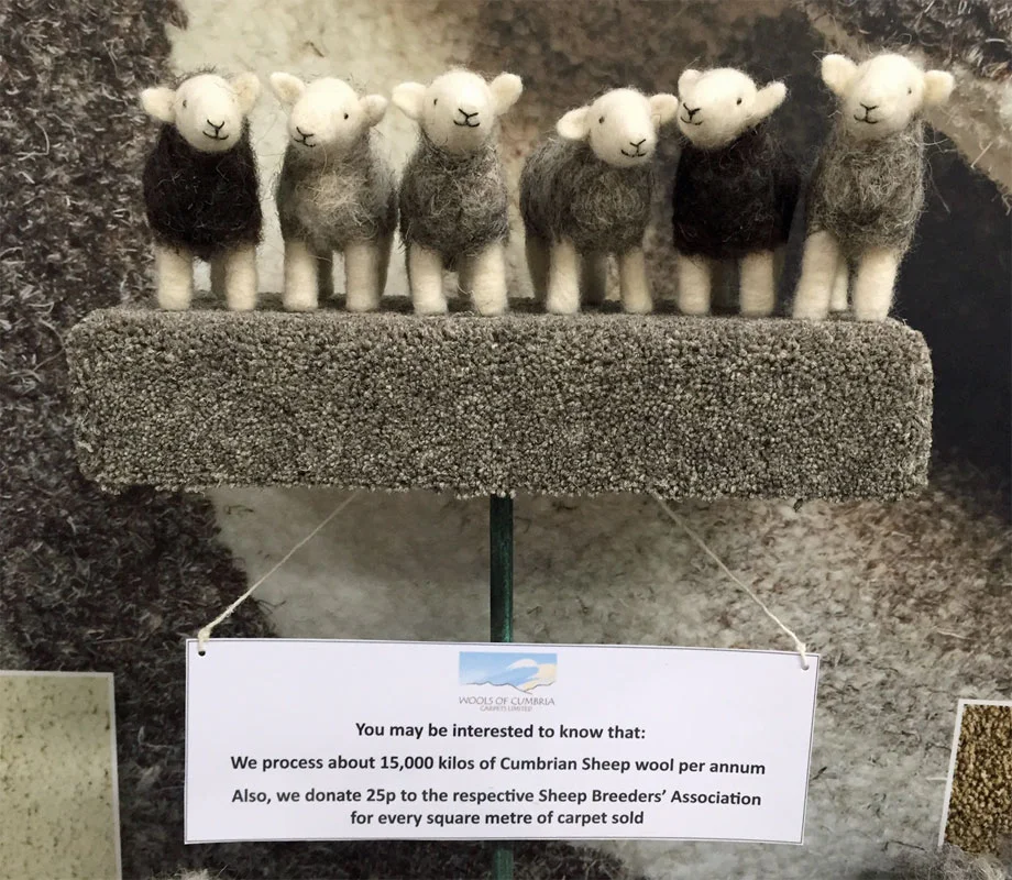 The Herdwick Story — Wools of Cumbria Carpets