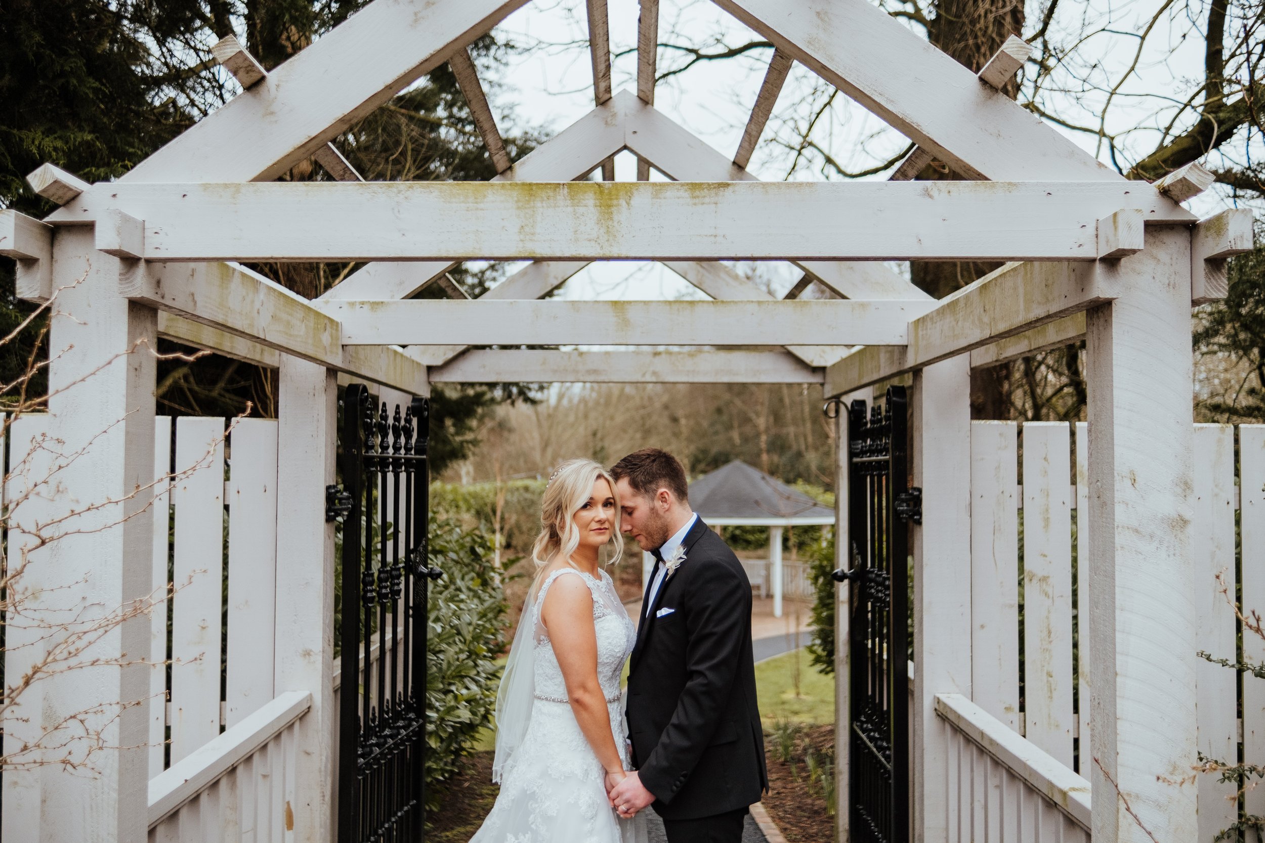 High Violet Photography