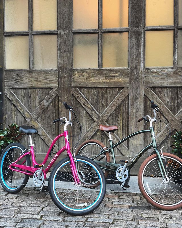 Bicycle Rentals — Bikes Unlimited