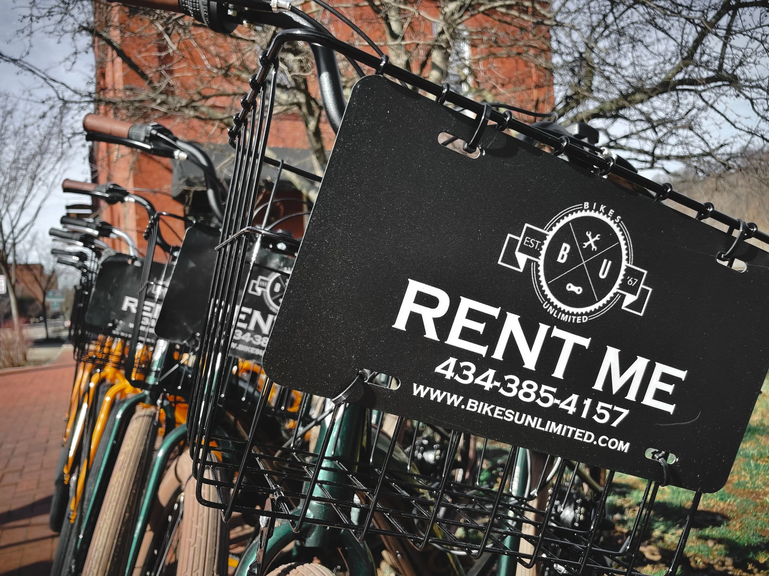 Bicycle Rentals — Bikes Unlimited