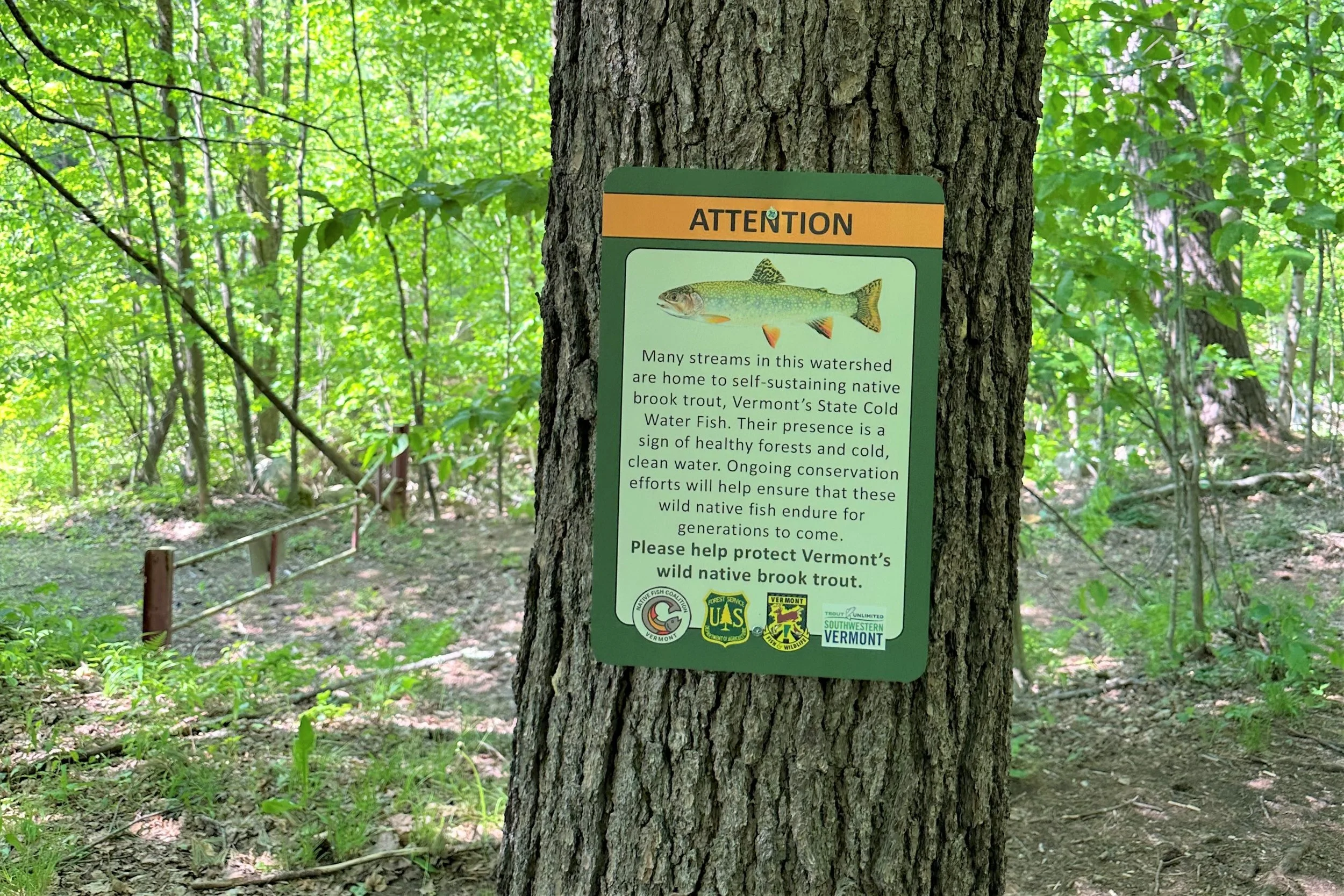 Upper Hoosic and Walloomsac in VT get Wild Native Brook Trout Signs ...