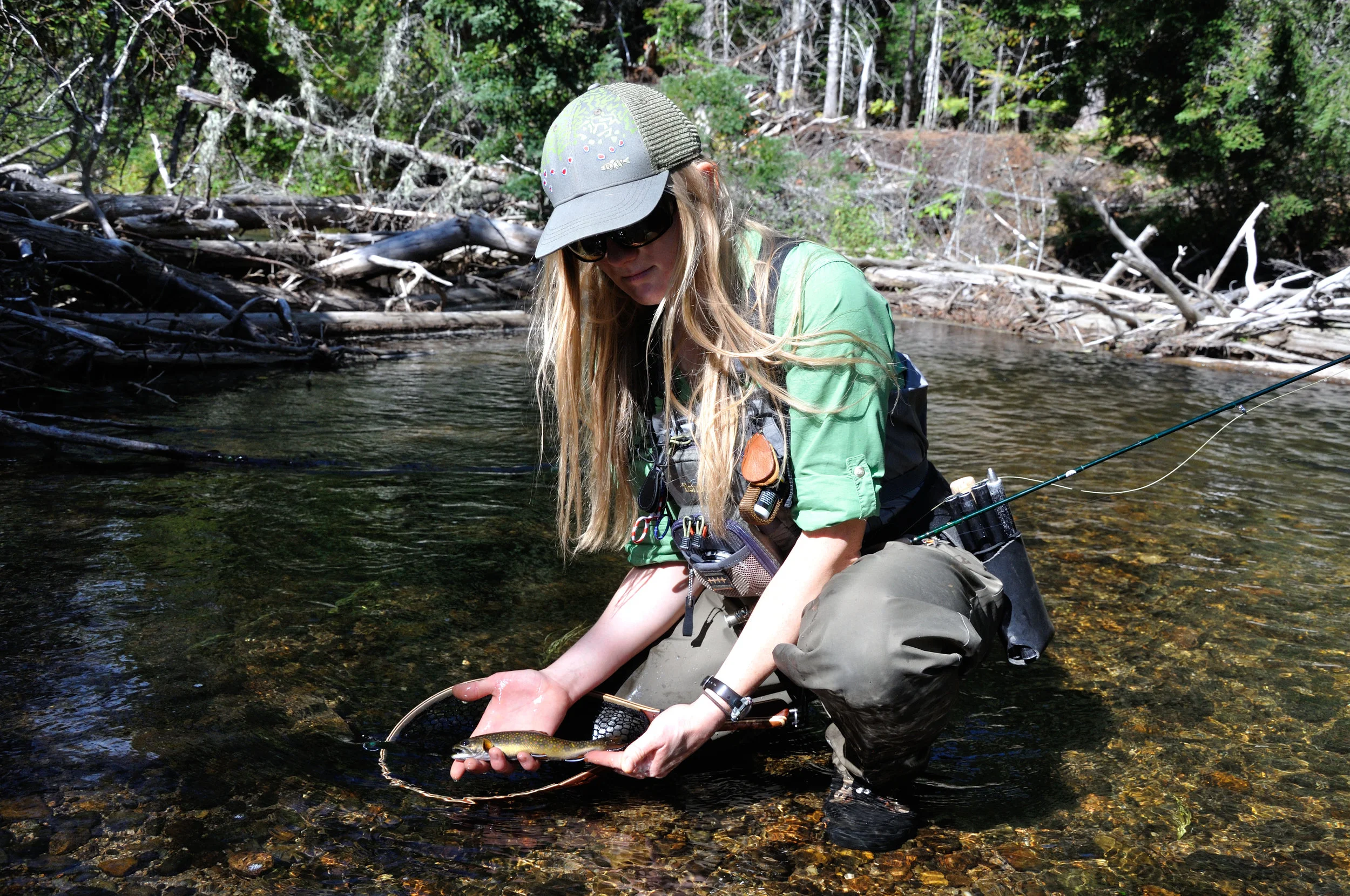 What We Have to Lose — Native Fish Coalition