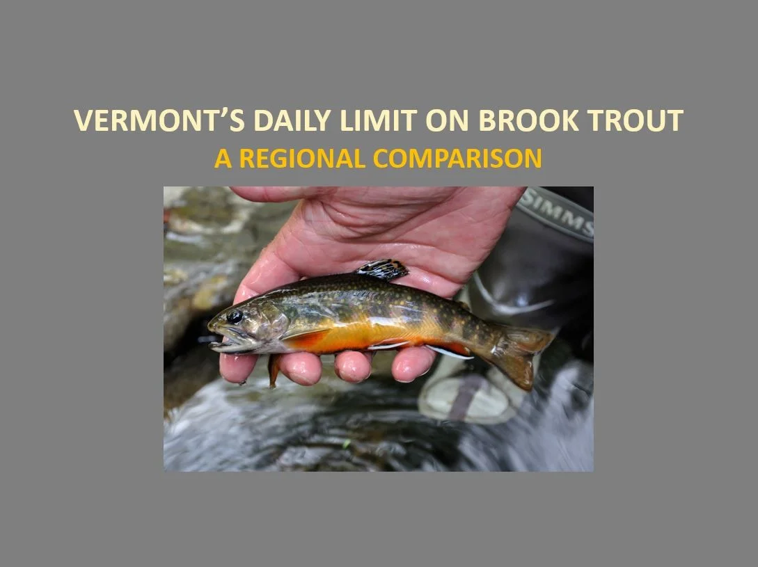 Vermont's Daily Limit on Brook Trout — Native Fish Coalition