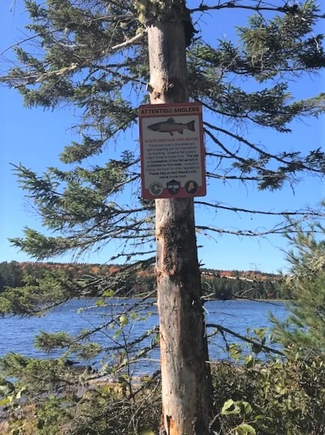 State Heritage Fish Sign Project — Native Fish Coalition