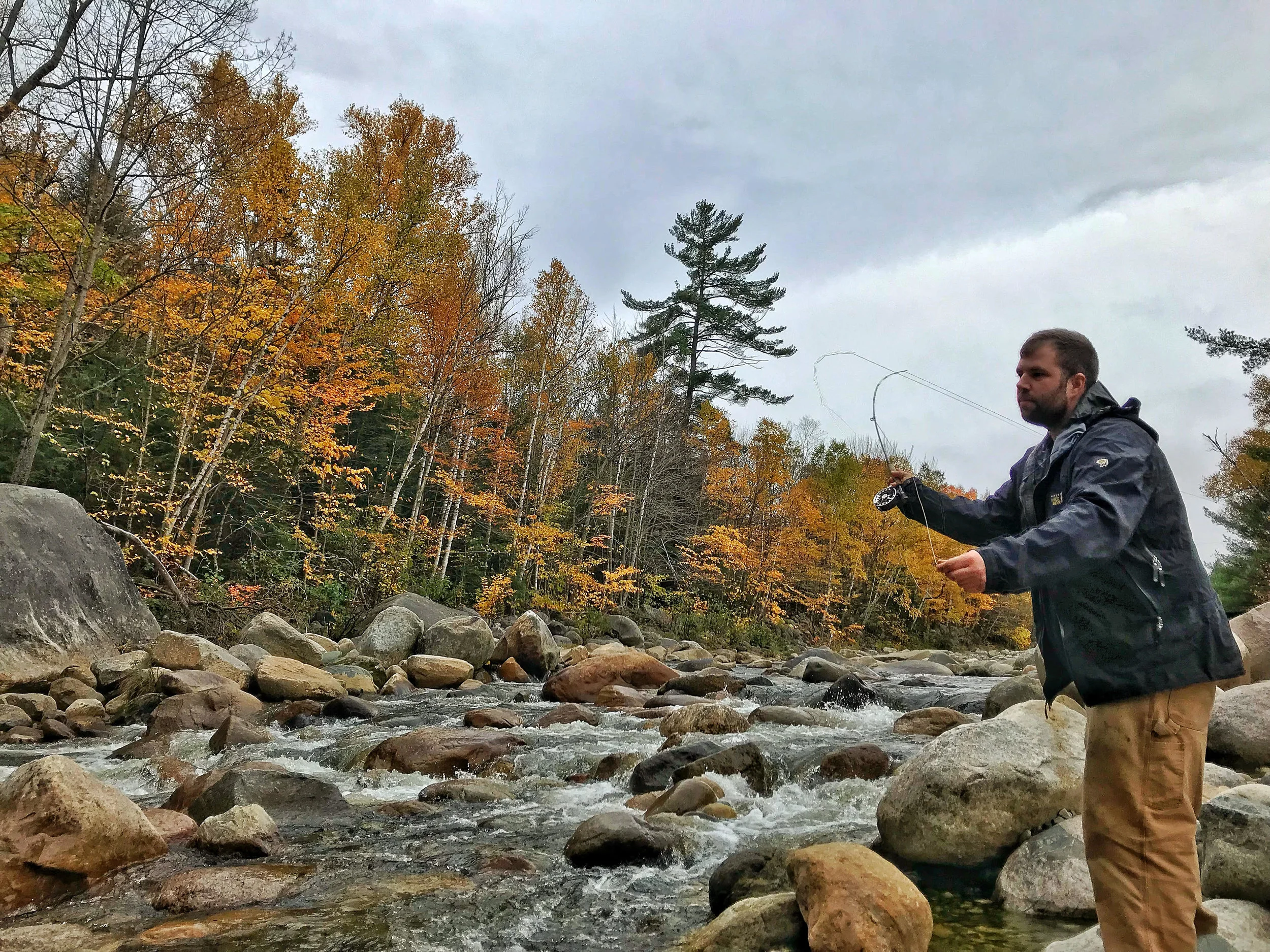 New Hampshire — Native Fish Coalition
