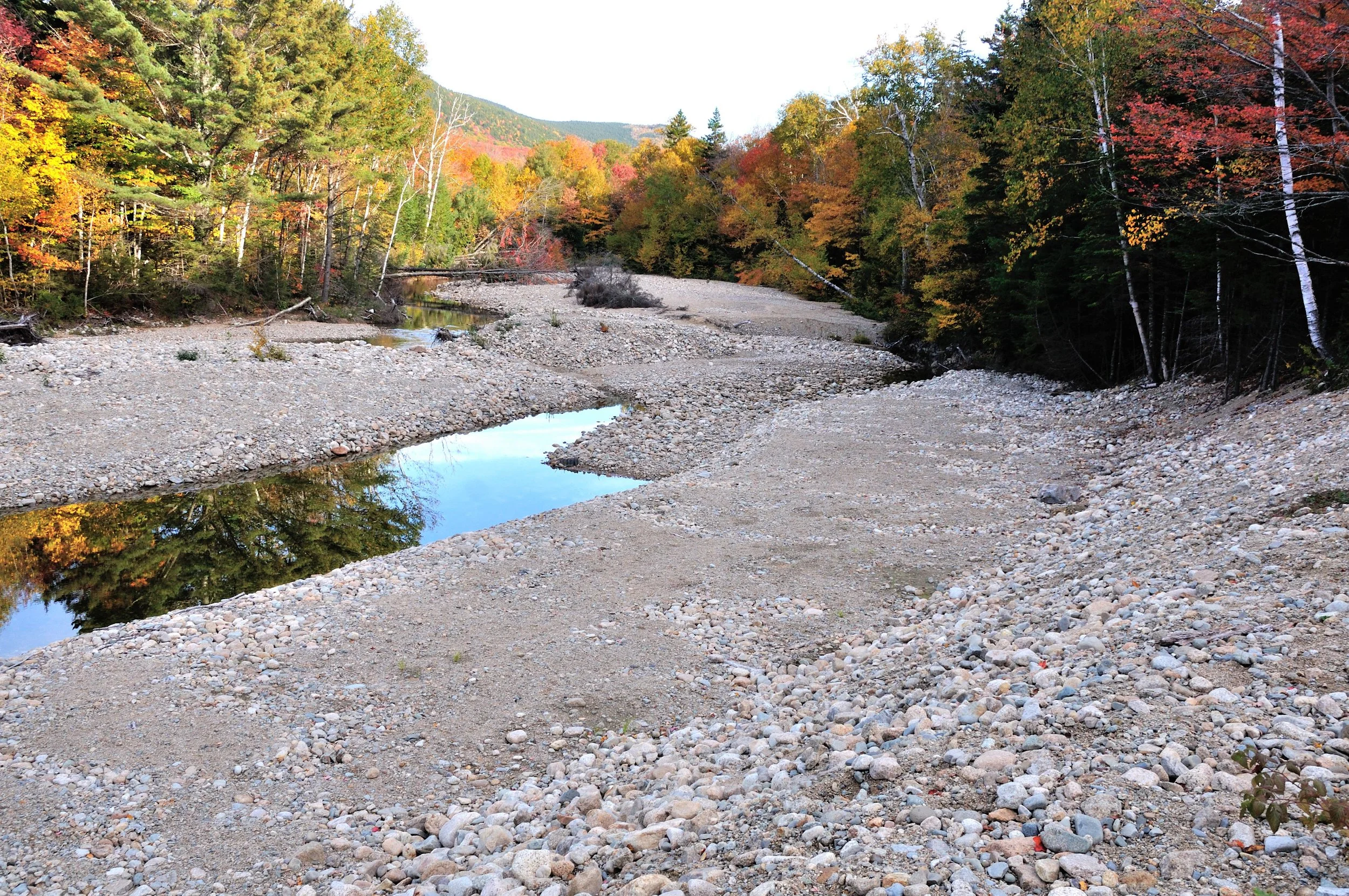 New Hampshire's Ammonoosuc River: A Symbol of Everything Wrong With ...