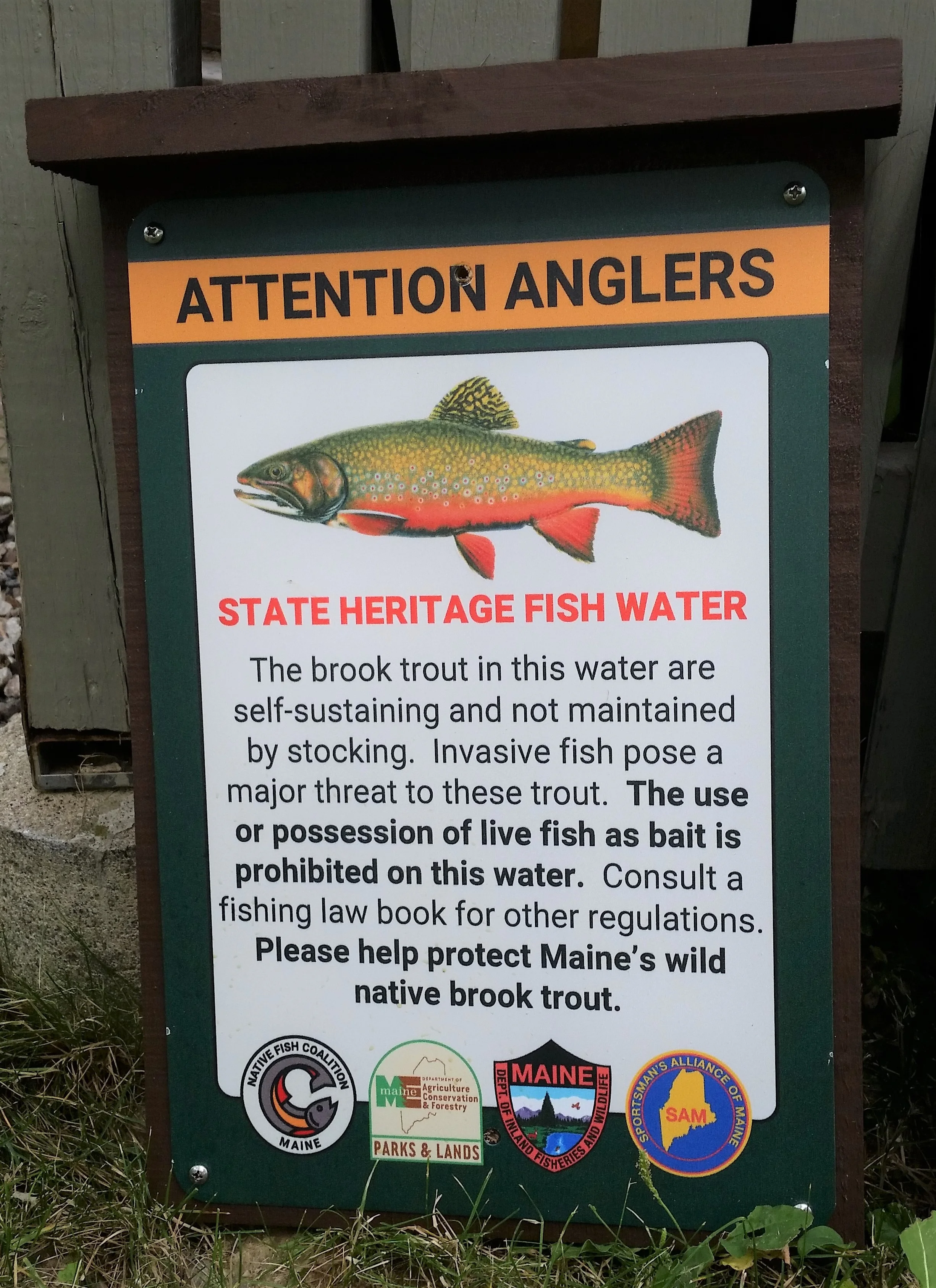 Custom State Heritage Fish Signs for Maine Public Lands — Native Fish ...