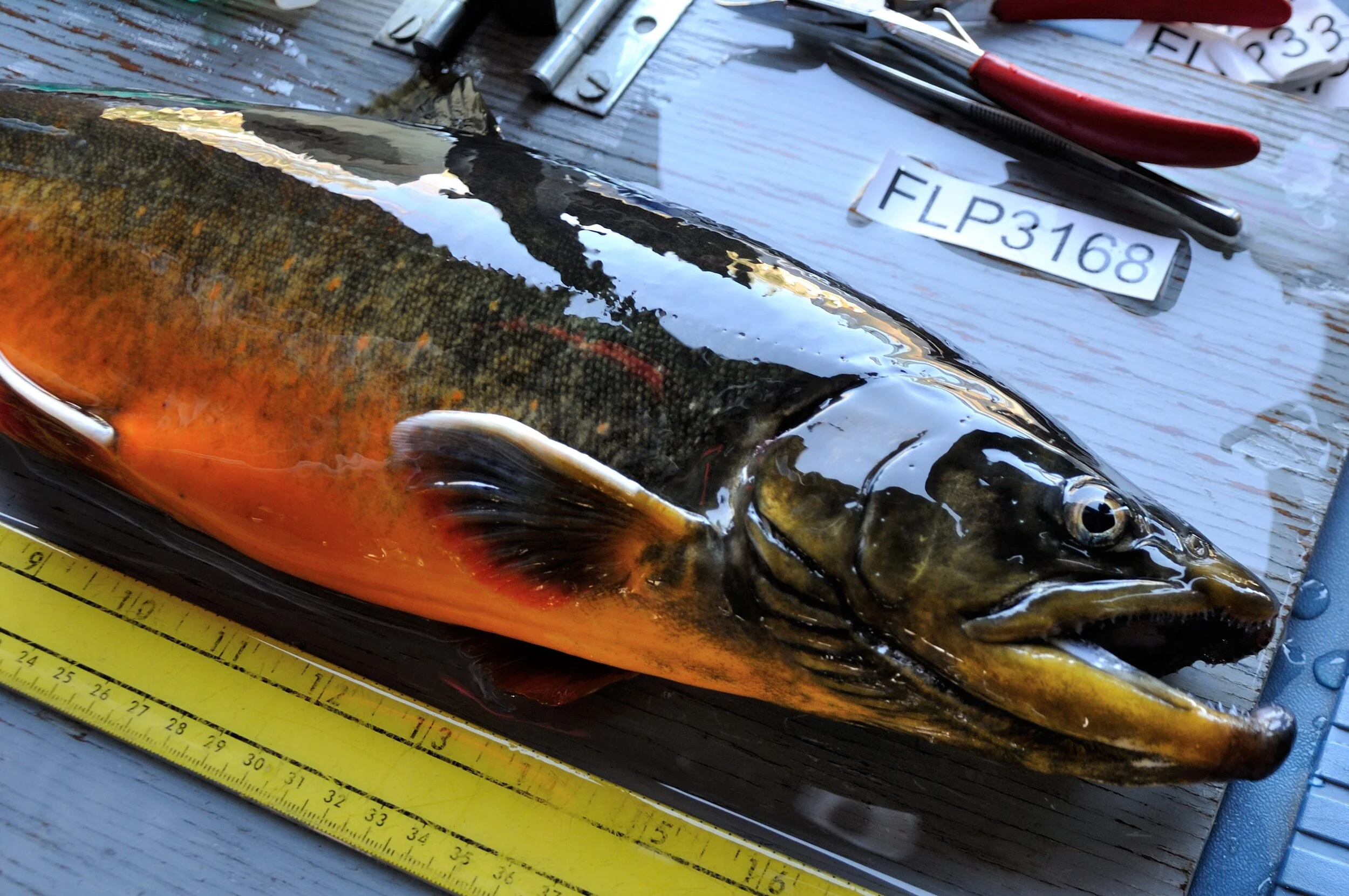 Updating Equipment for the Critically Important Floods Pond Arctic ...