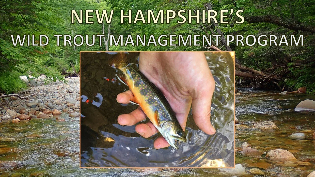 New Hampshire — Native Fish Coalition
