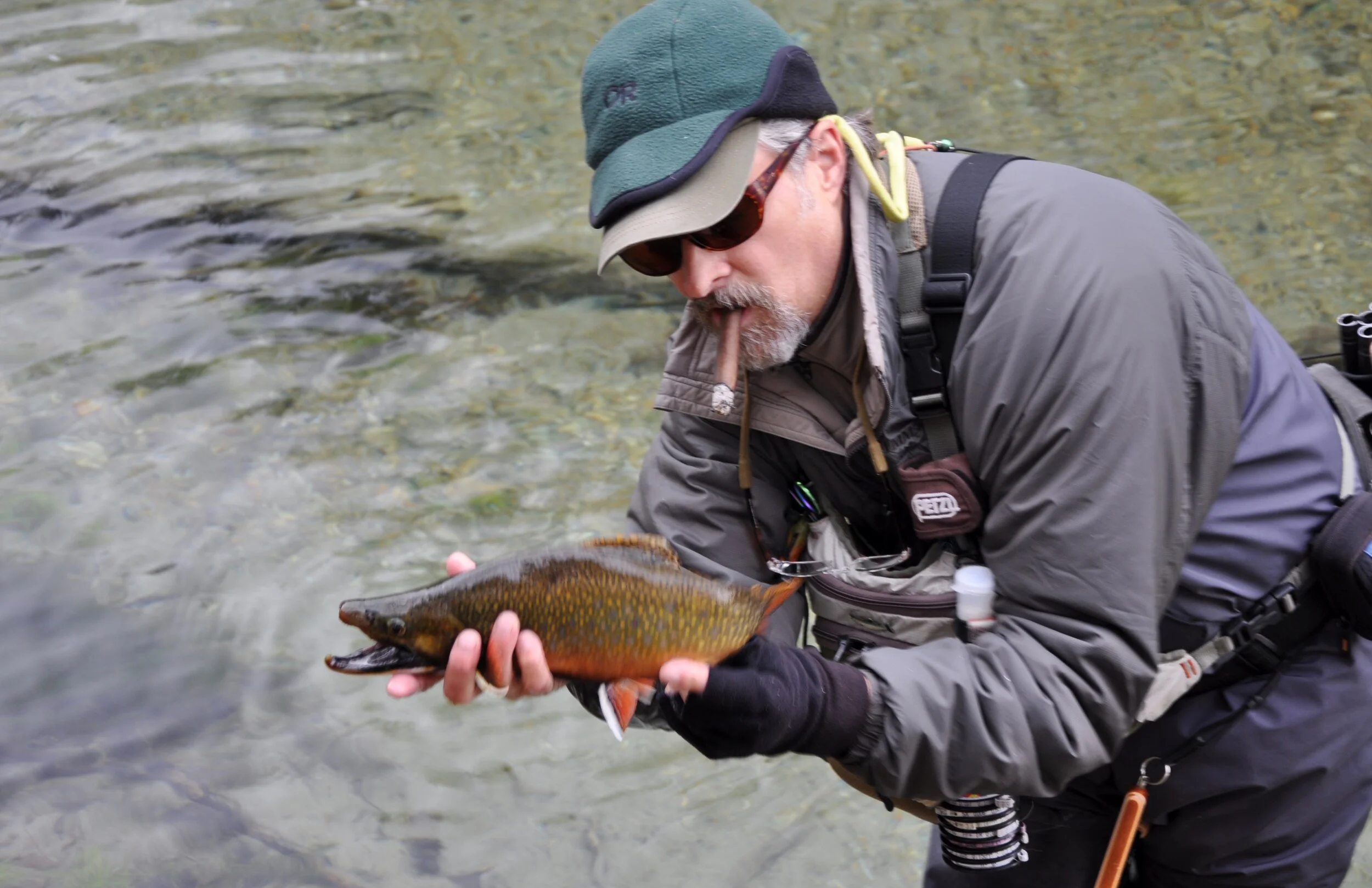 Massachusetts — Native Fish Coalition