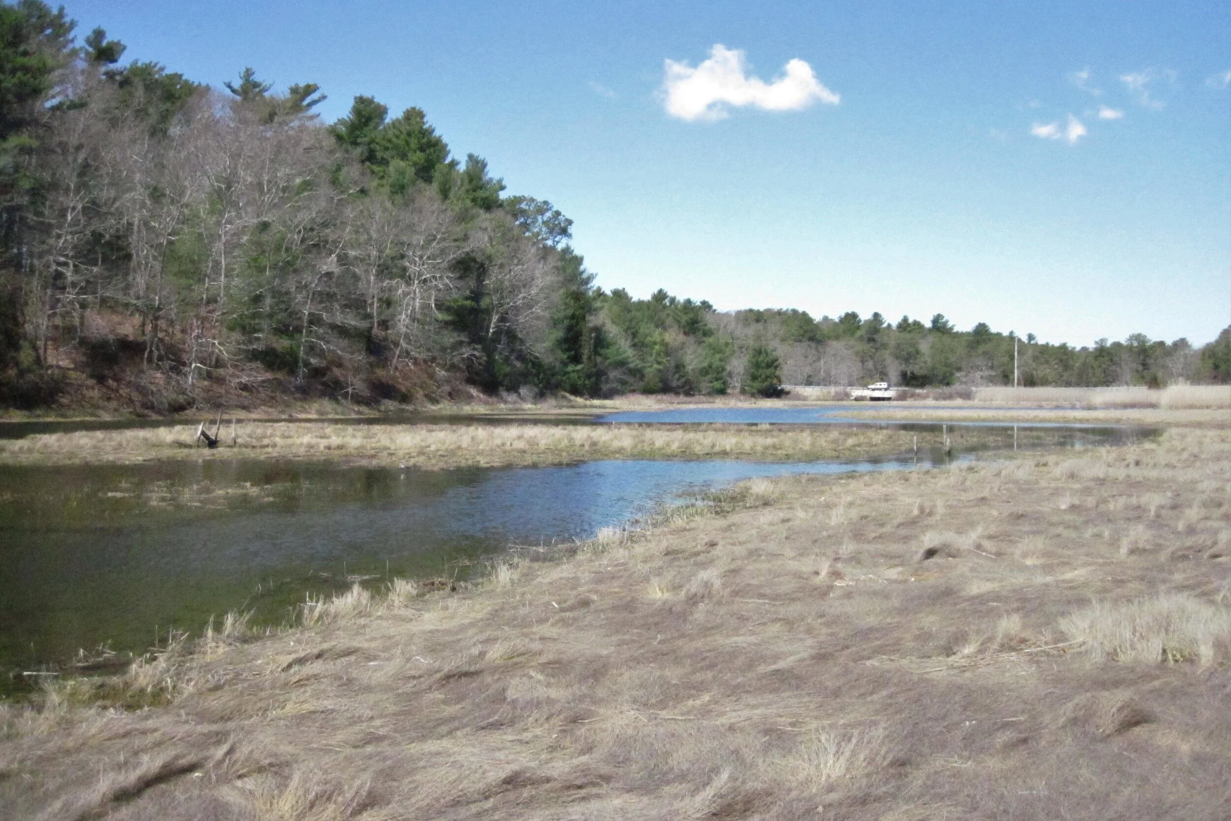 Massachusetts — Native Fish Coalition