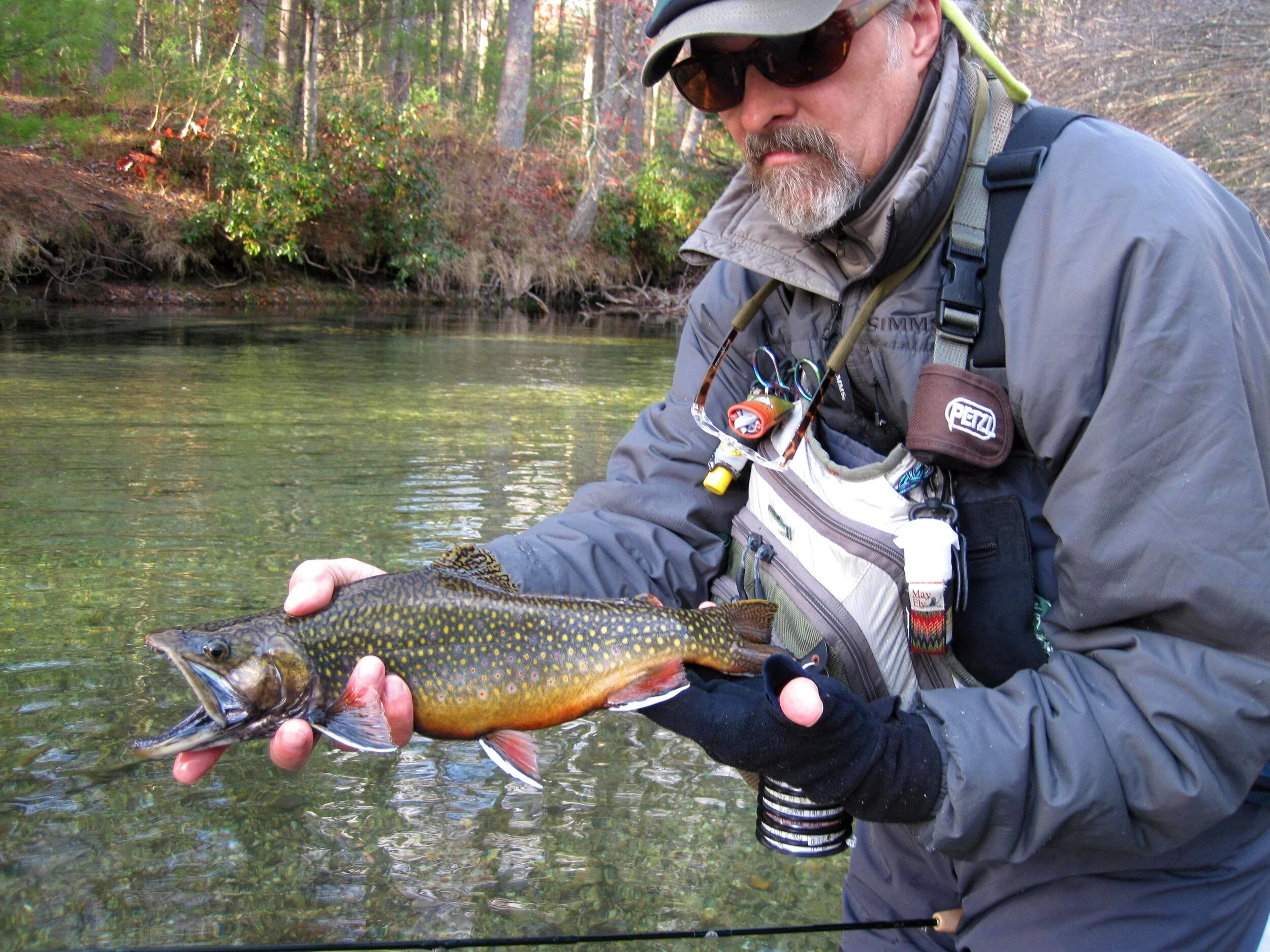 Massachusetts — Native Fish Coalition