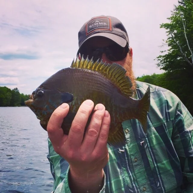 Massachusetts — Native Fish Coalition