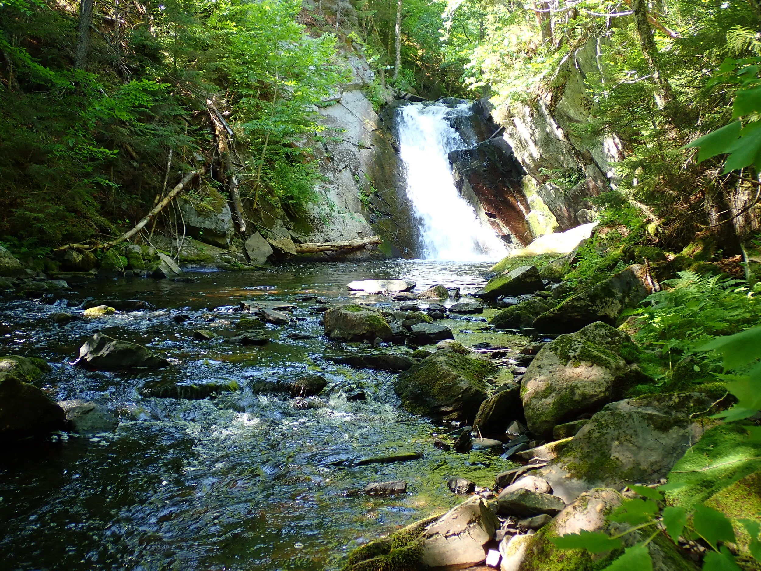 Maine — Native Fish Coalition
