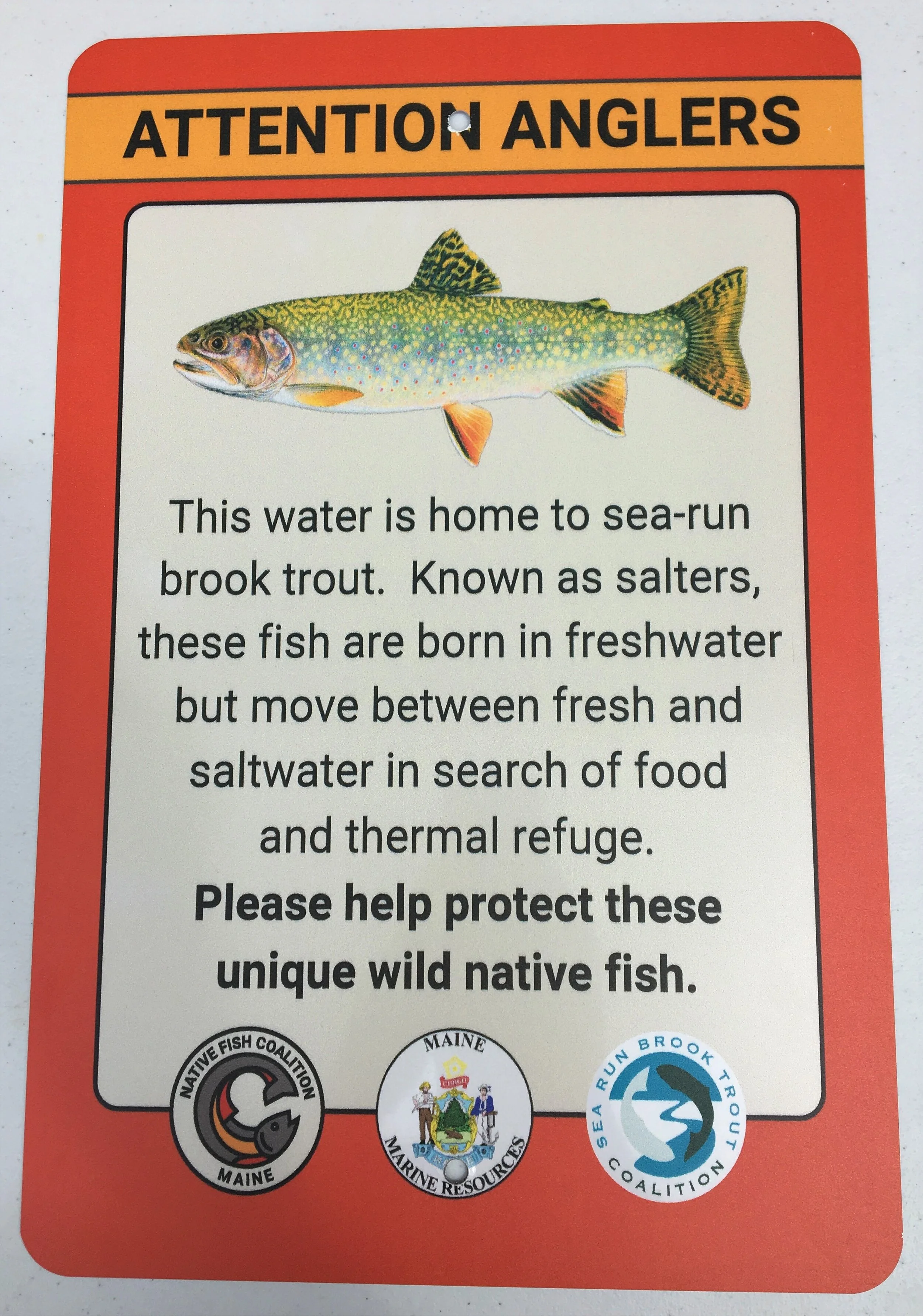 Maine Sea-Run Brook Trout Sign #2 — Native Fish Coalition