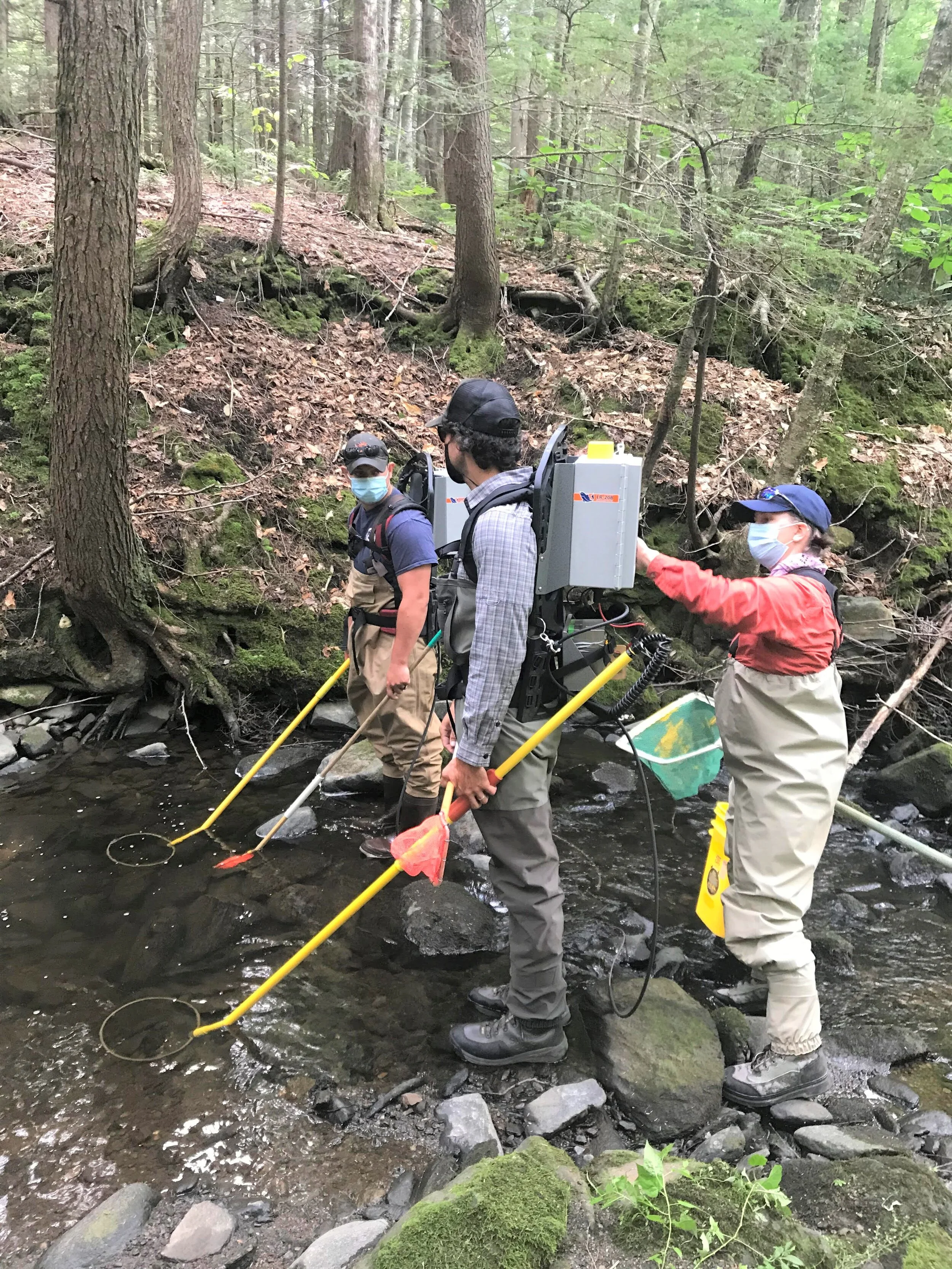 Massachusetts — Native Fish Coalition