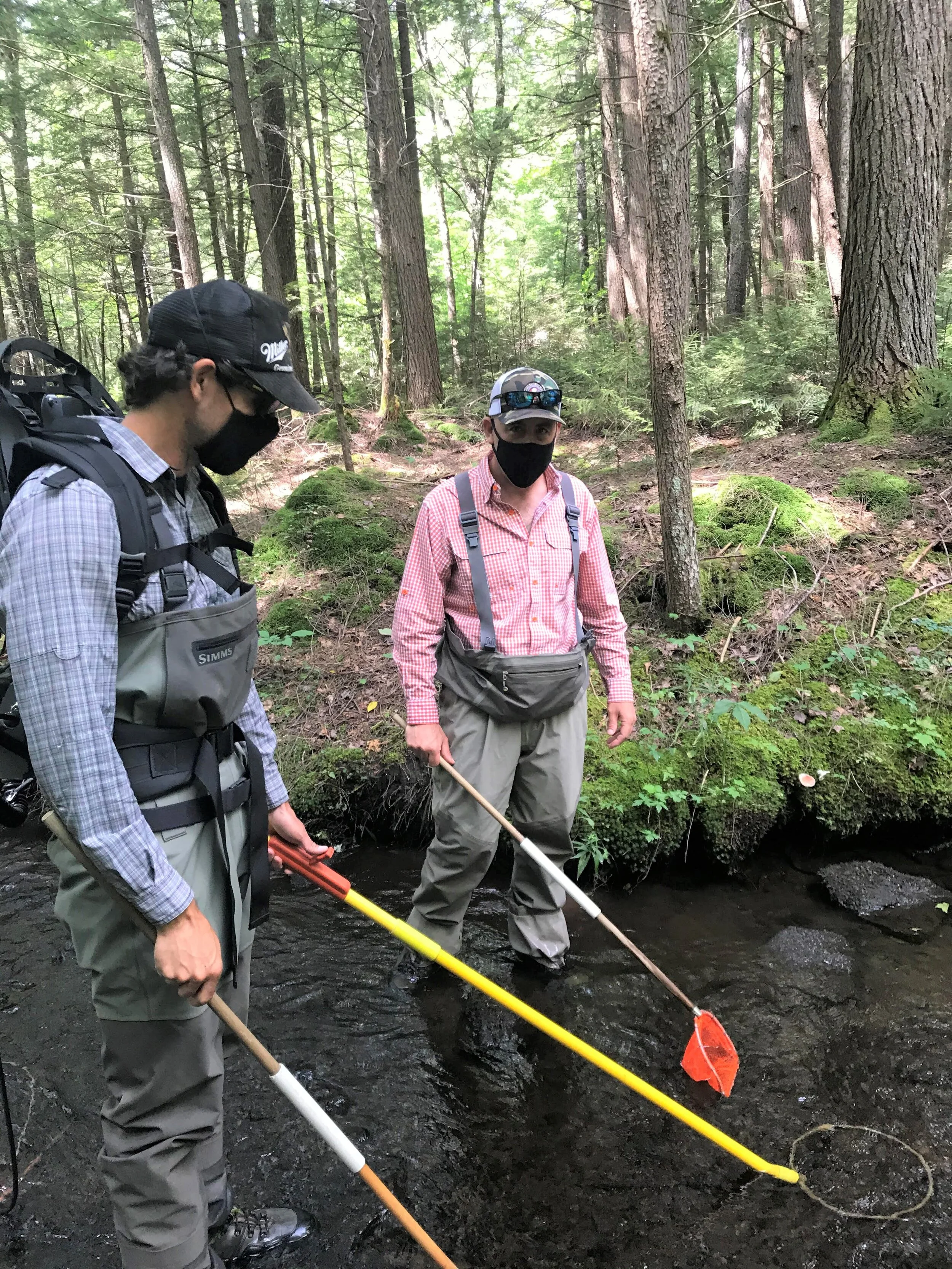 Massachusetts — Native Fish Coalition