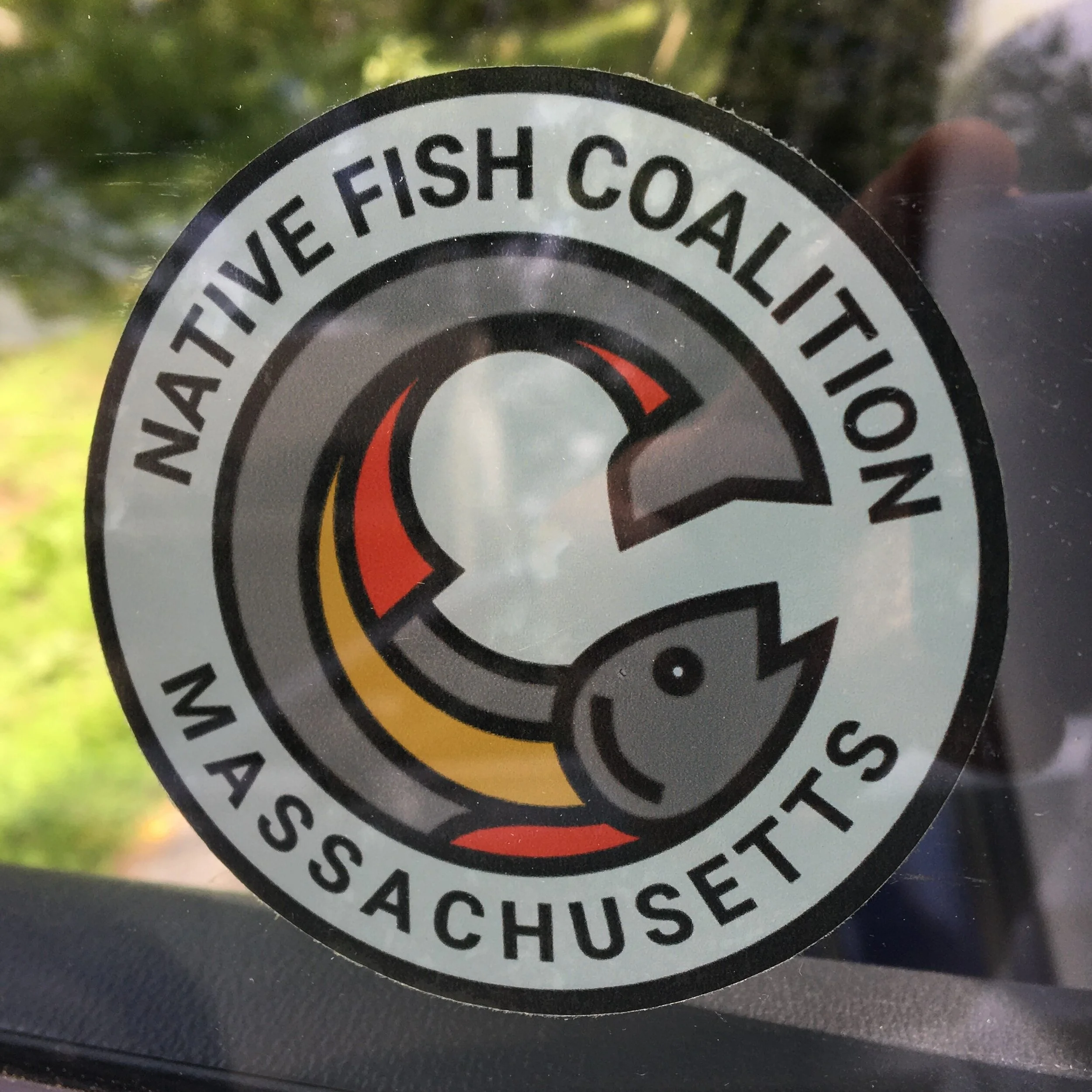 Massachusetts — Native Fish Coalition
