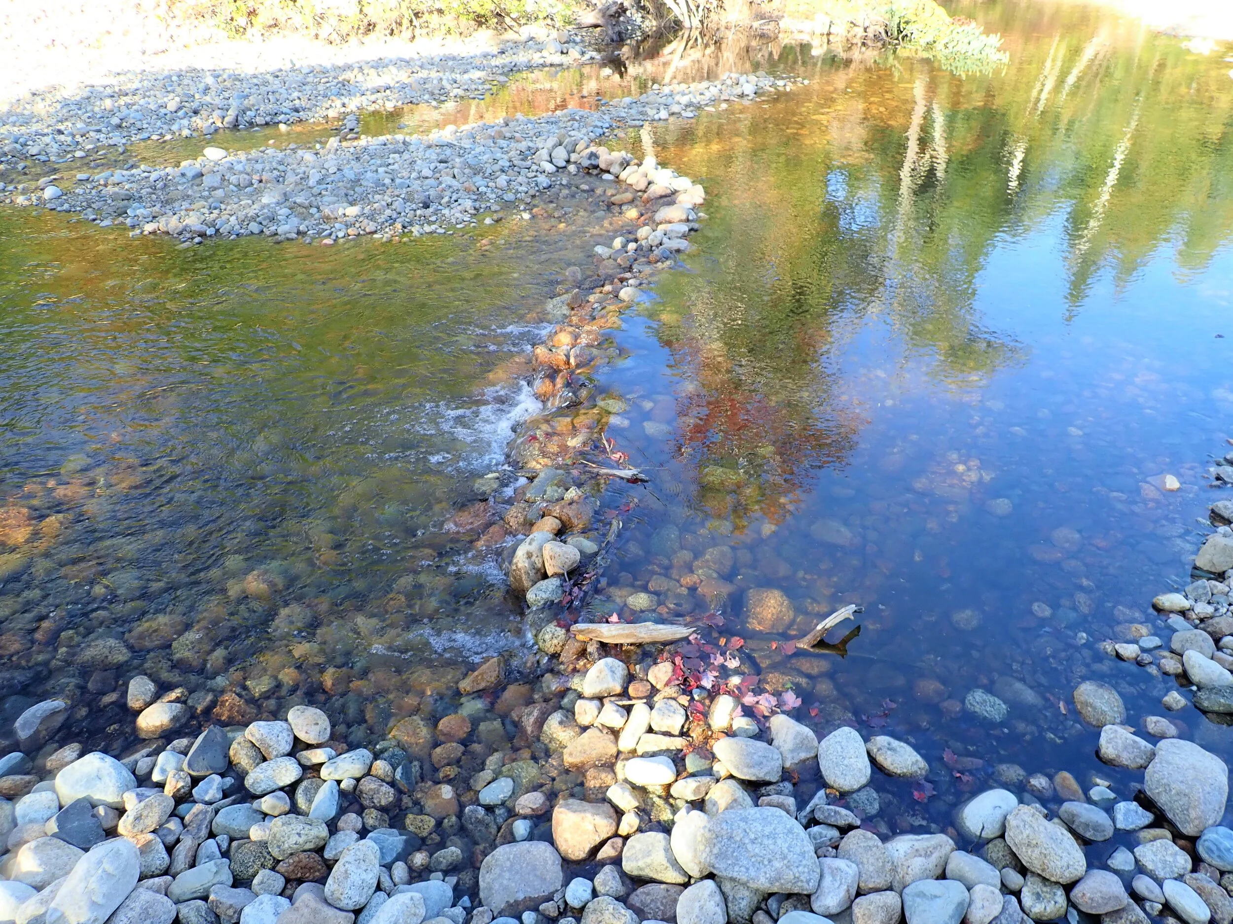 Rock Dam Gallery — Native Fish Coalition