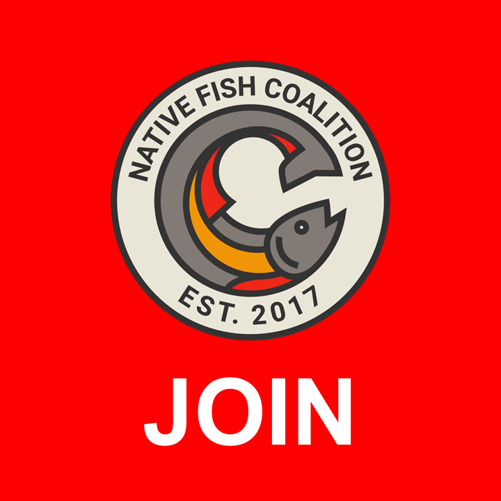 Store — Native Fish Coalition