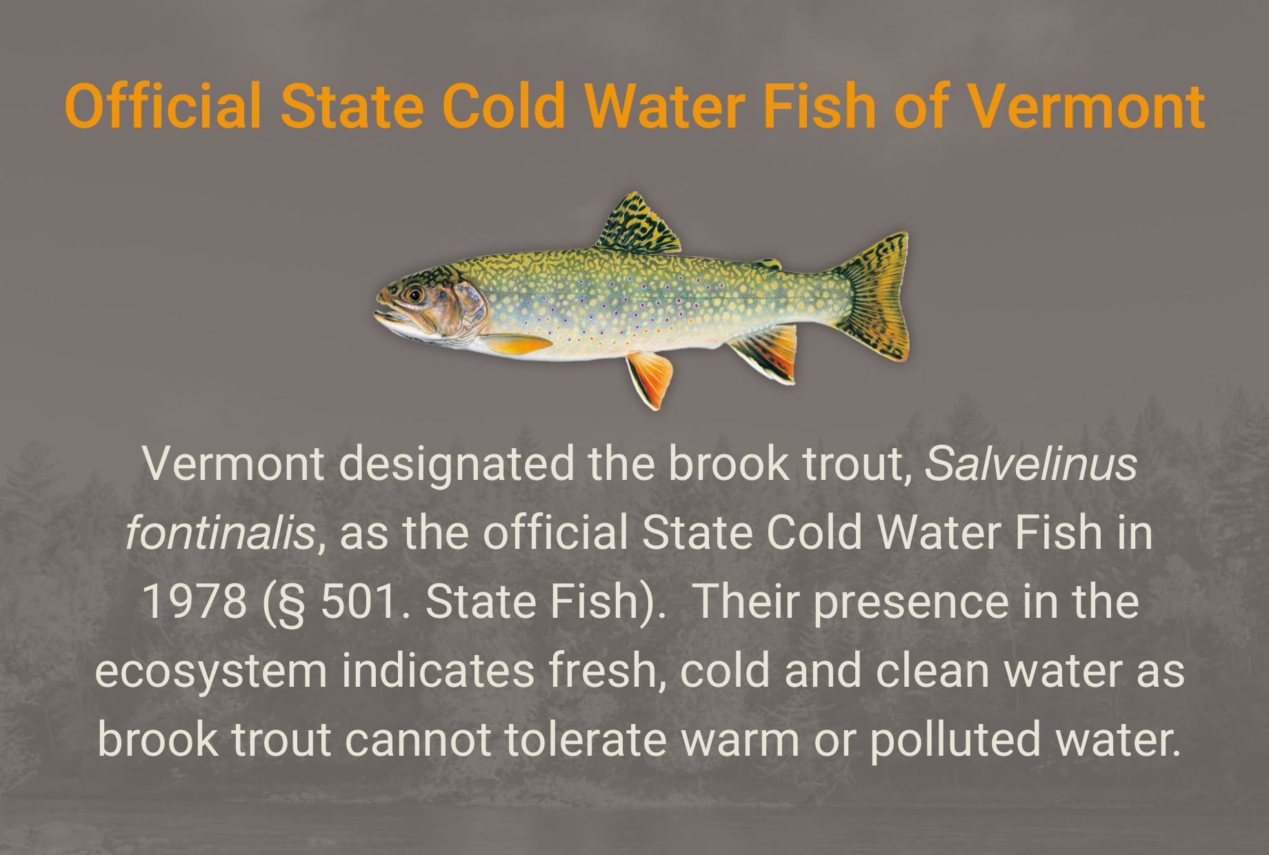 VERMONT: GOING FROM TWELVE FISH TO EIGHT FISH IS NOT ENOUGH — Native ...