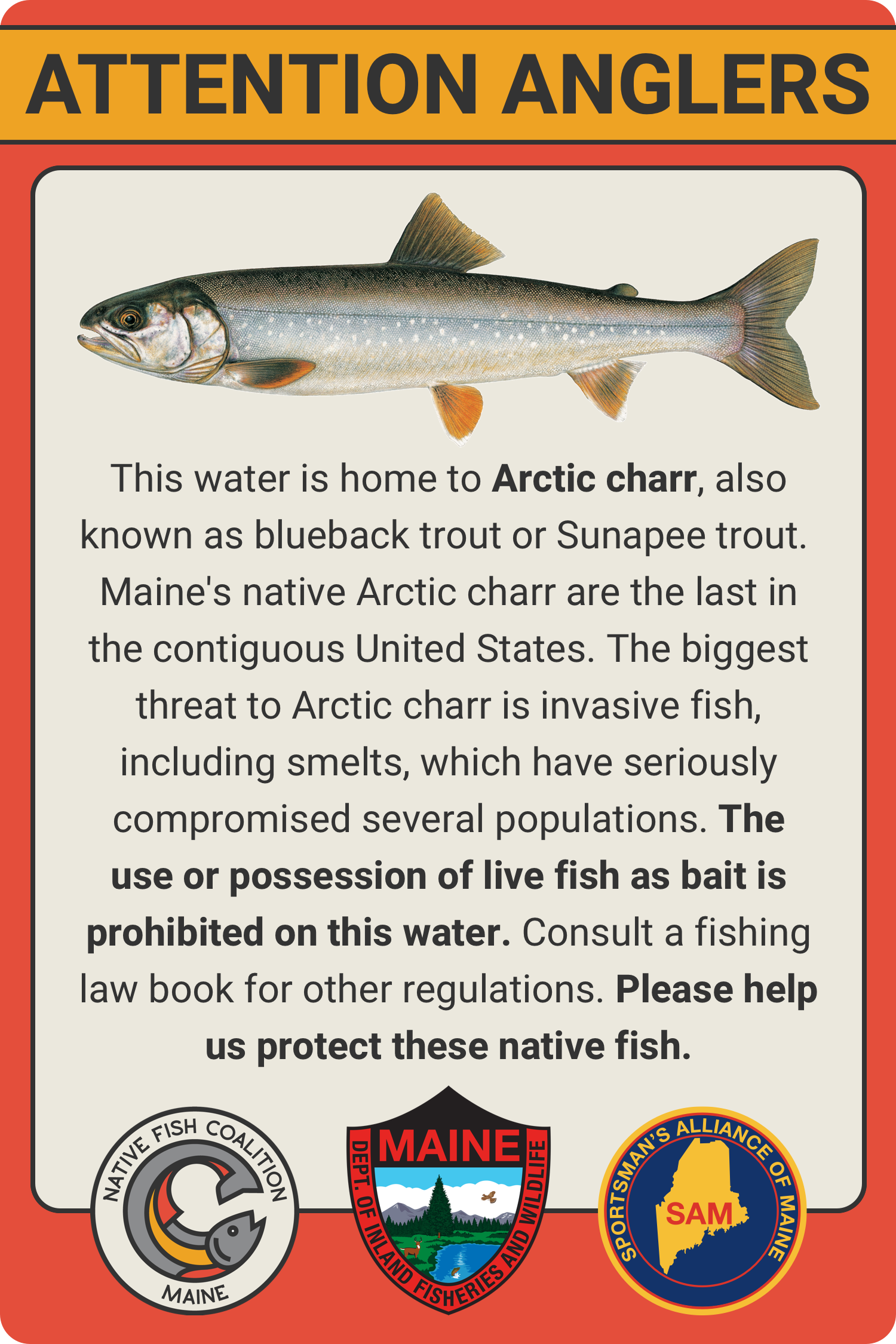 MAINE RARE ARCTIC CHARR (STANDARD) — Native Fish Coalition