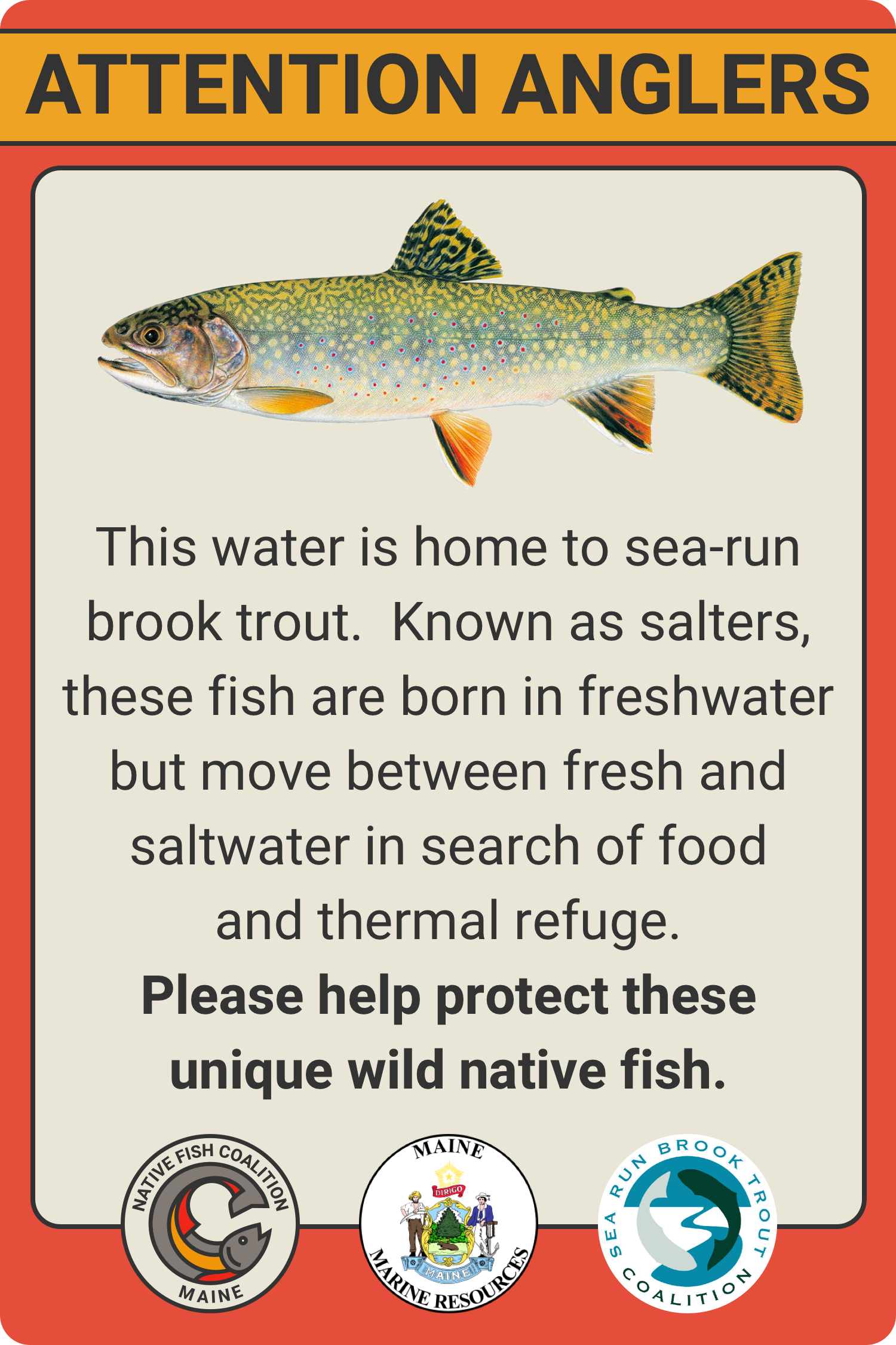 MAINE SEA-RUN BROOK TROUT (MIDCOASTAL AND SOUTHERN REGION) — Native ...