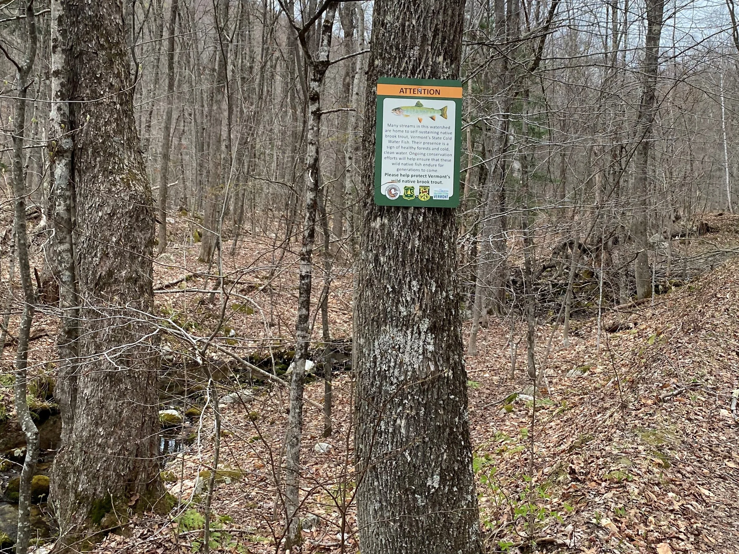 Greater Bennington Vermont Gets Wild Brook trout Signs — Native Fish ...