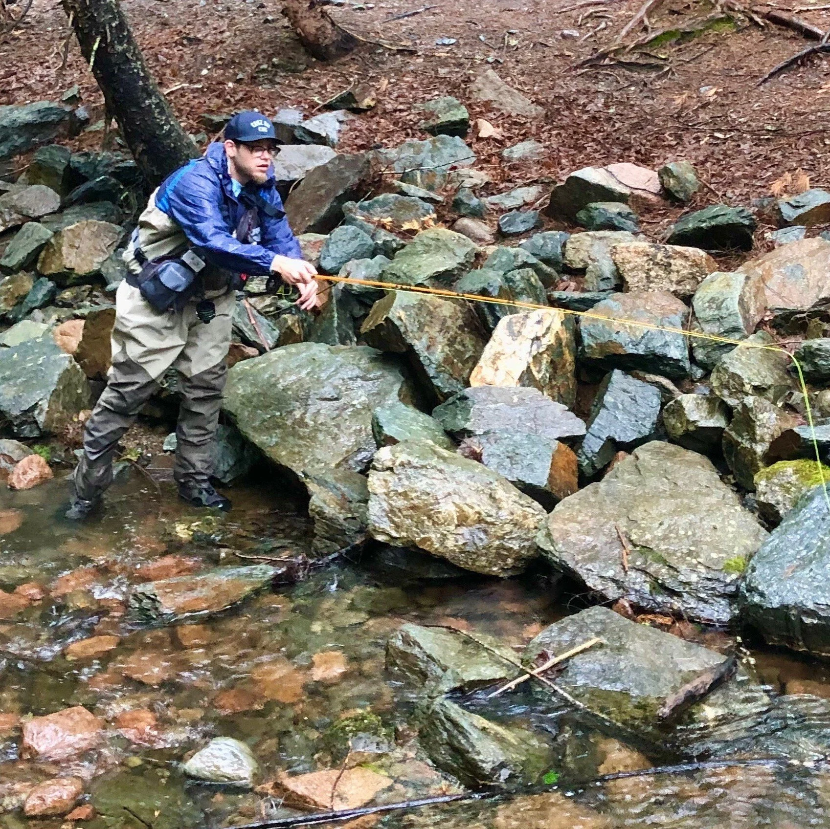 West Virginia — Native Fish Coalition