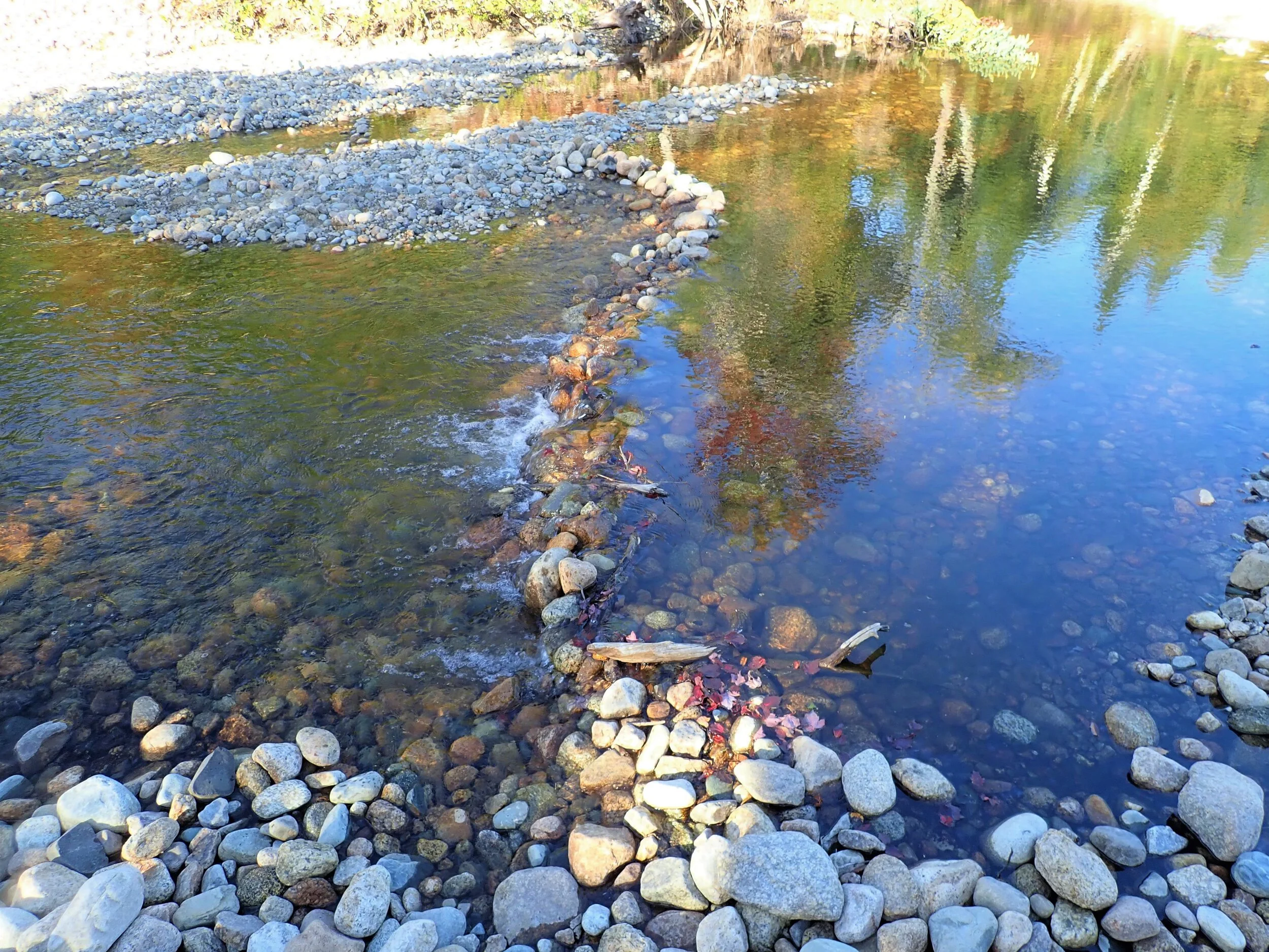 NFC Rock Dam Buster Volunteer Campaign — Native Fish Coalition