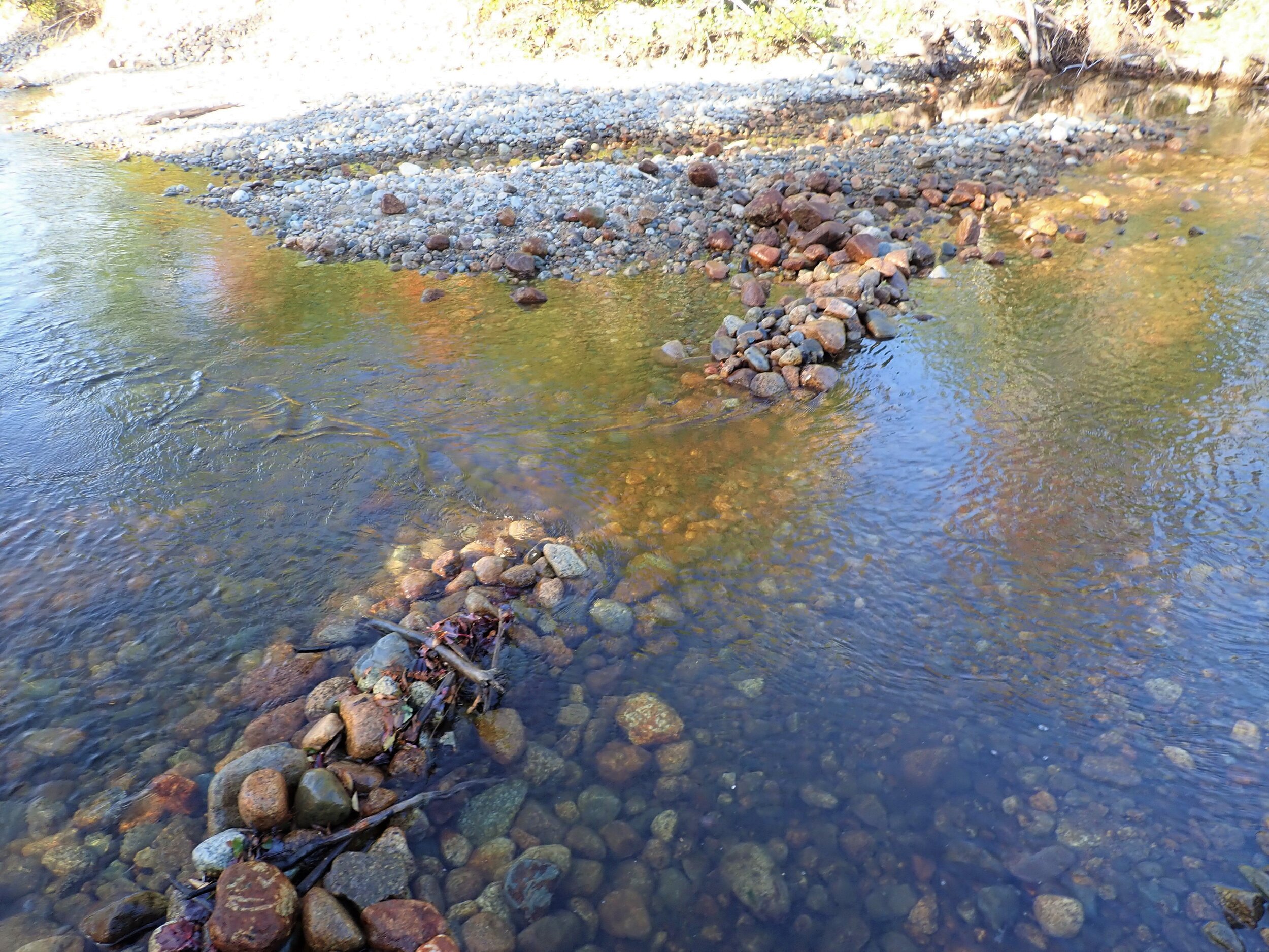 NFC Rock Dam Buster Volunteer Campaign — Native Fish Coalition