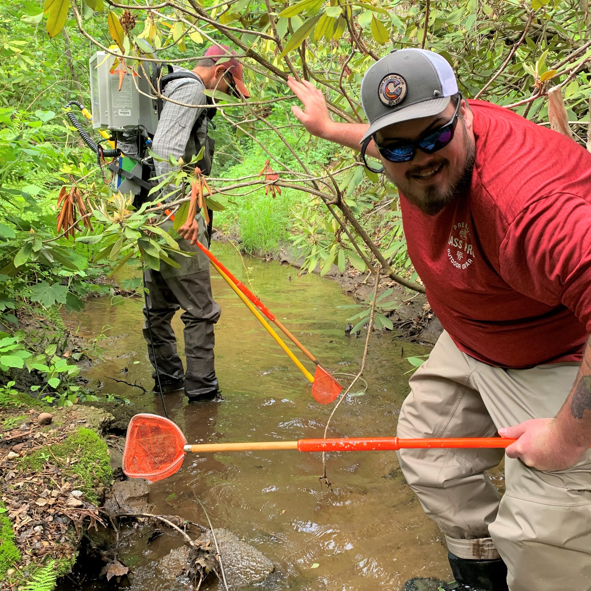 Massachusetts — Native Fish Coalition
