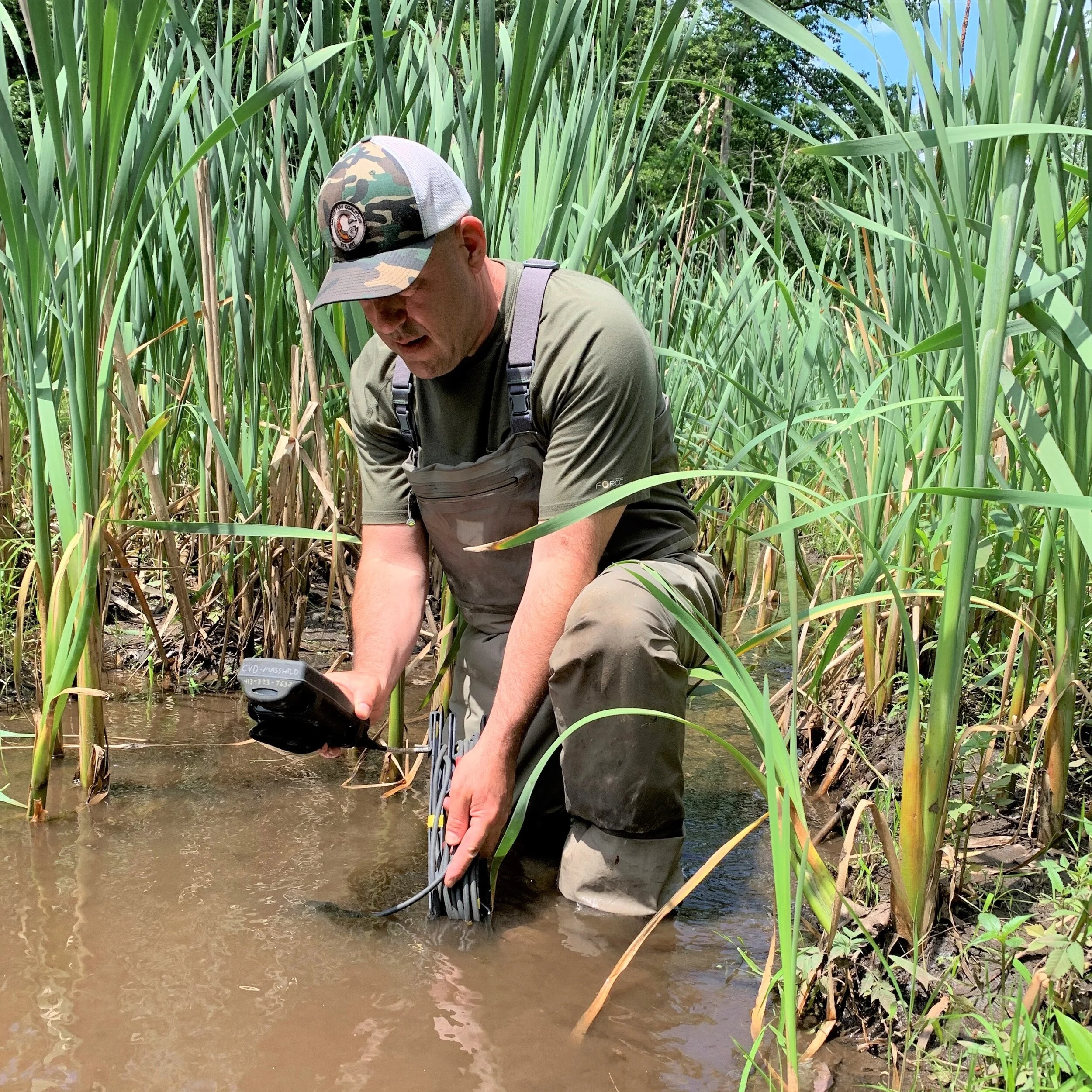 Massachusetts — Native Fish Coalition