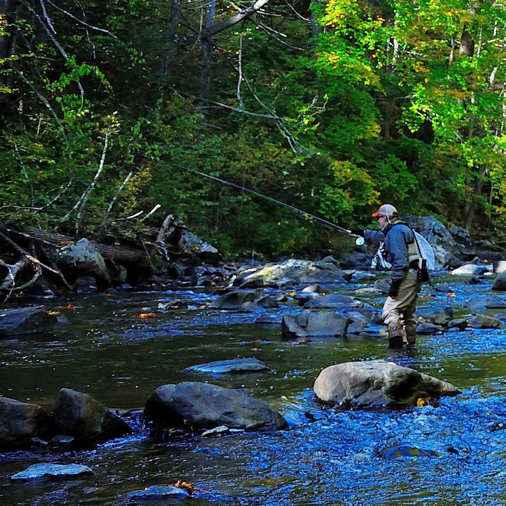 New Jersey — Native Fish Coalition