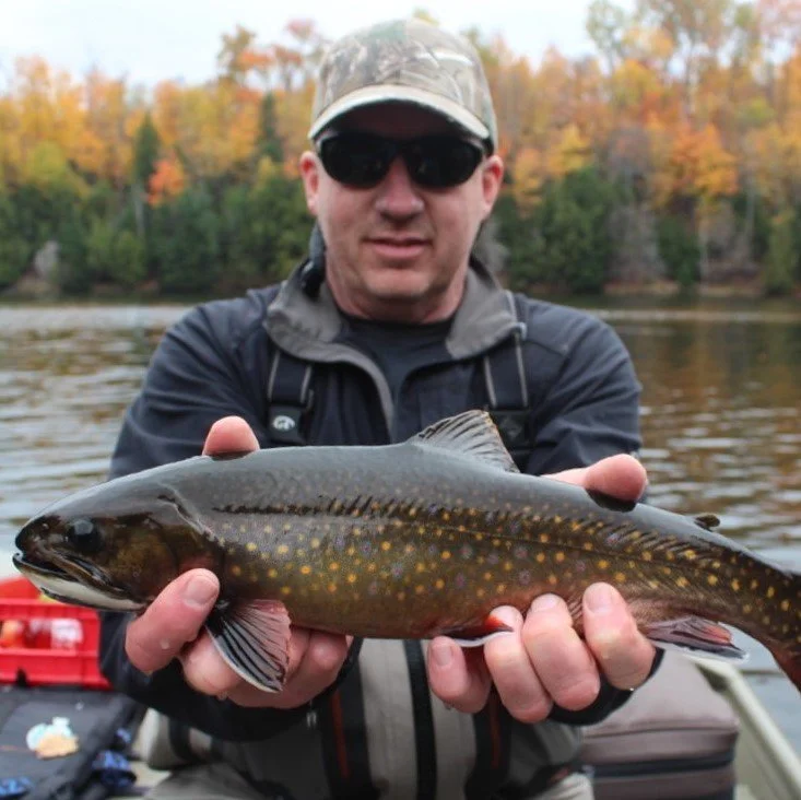 New York — Native Fish Coalition