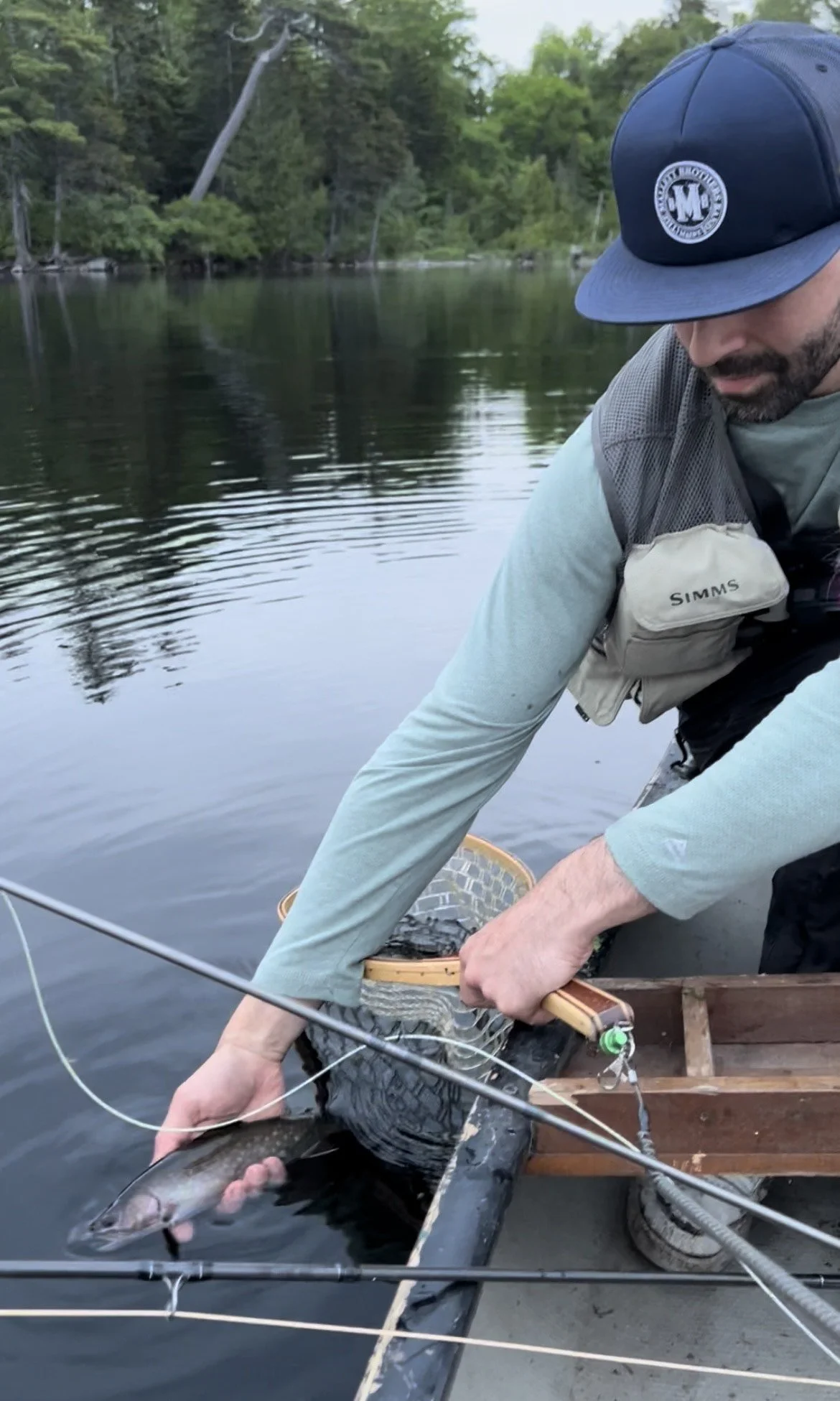 MICHAEL ANGELIDES — Native Fish Coalition