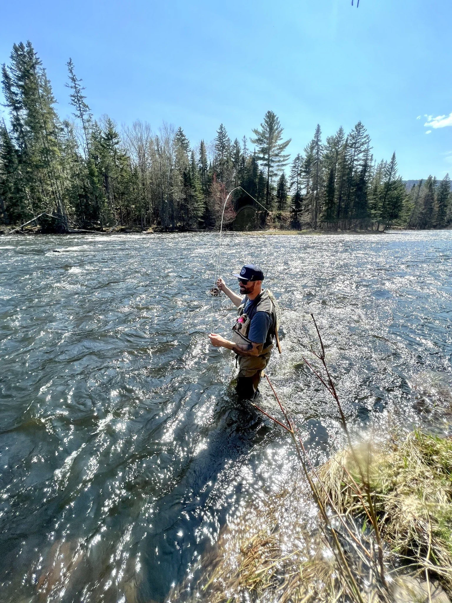 MICHAEL ANGELIDES — Native Fish Coalition