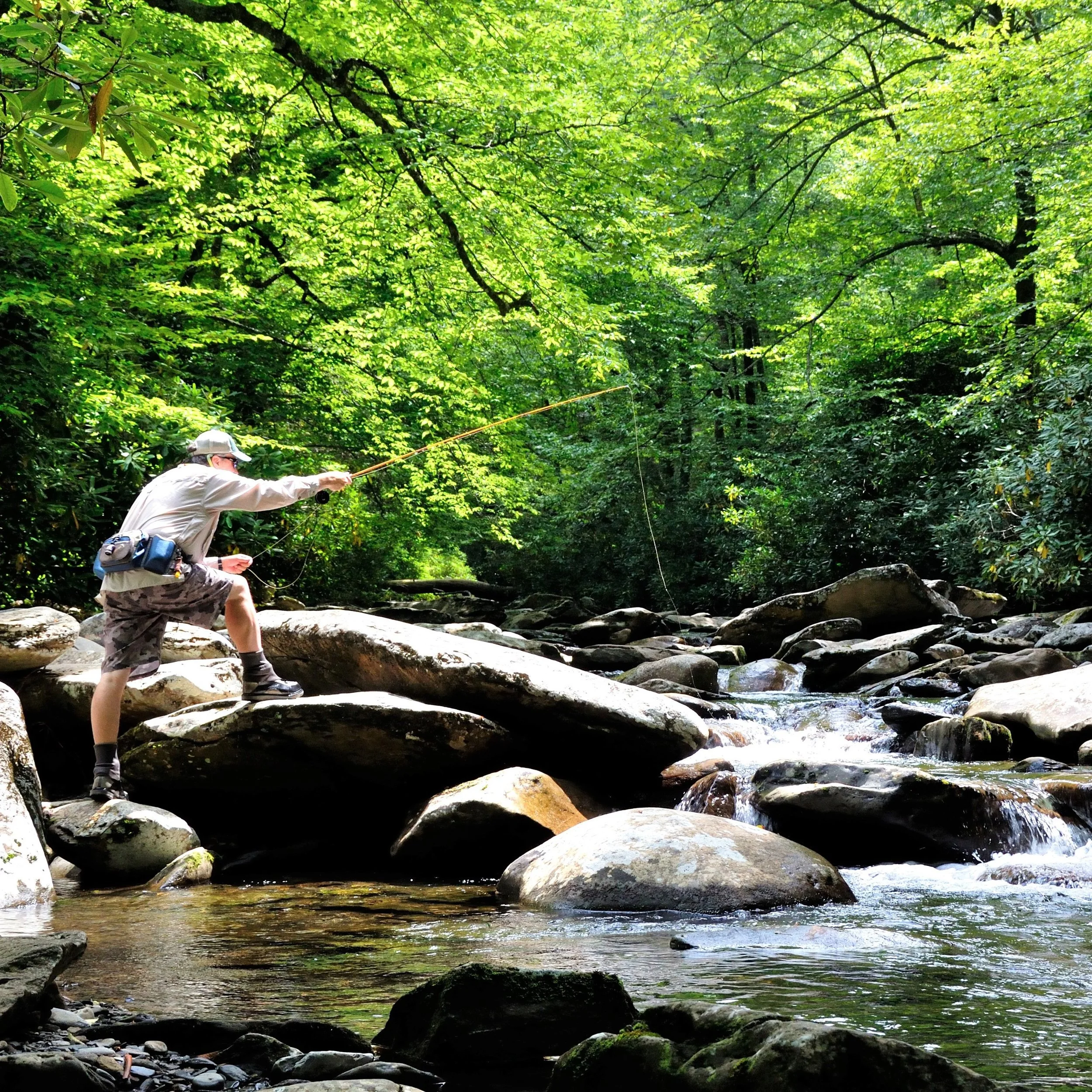 Tennessee — Native Fish Coalition