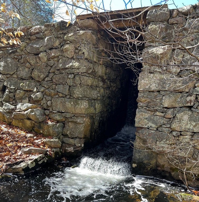 Massachusetts — Native Fish Coalition