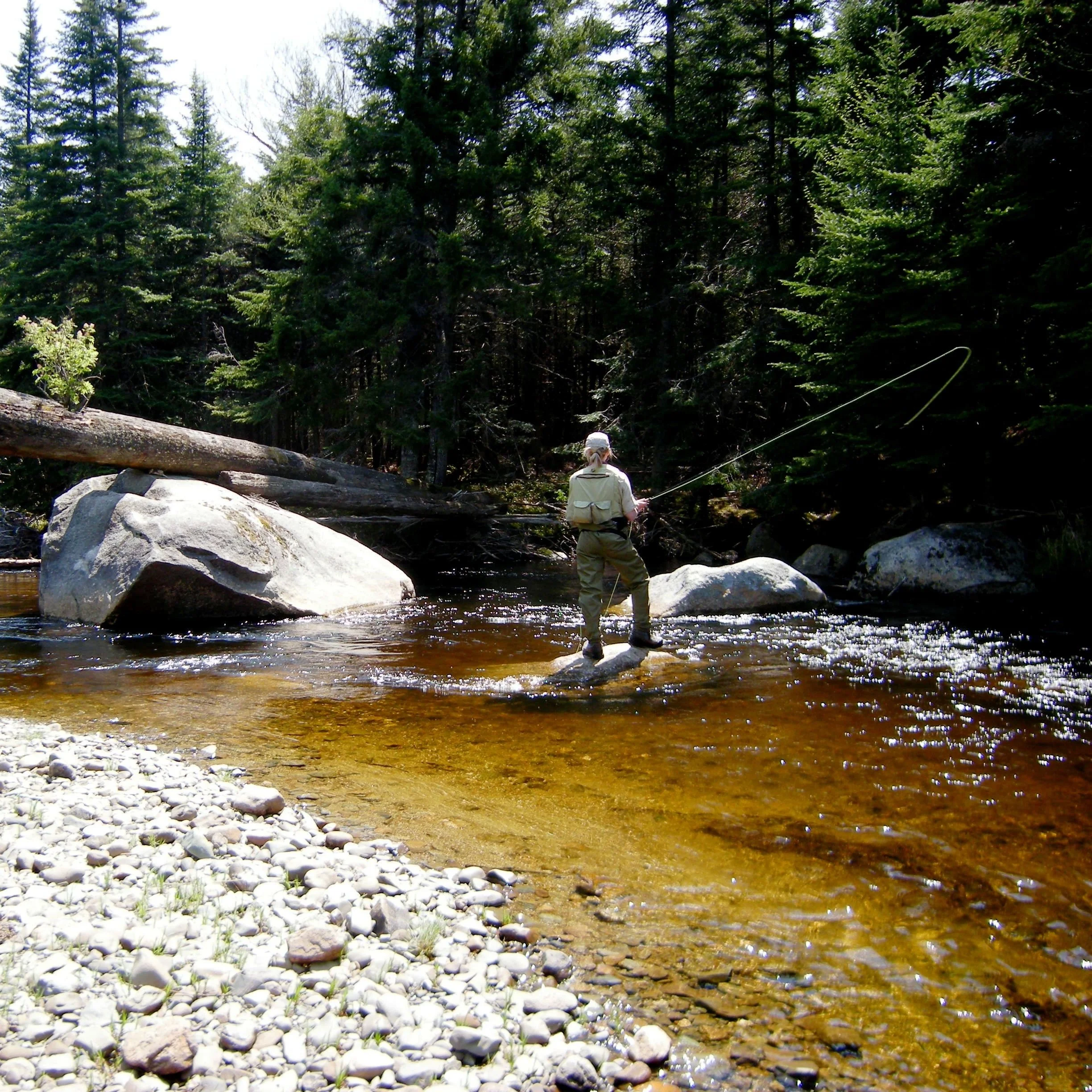 NFC NATIONAL CHAIR EMILY BASTIAN TALKS NATIVE FISH WITH FLY LINE ...