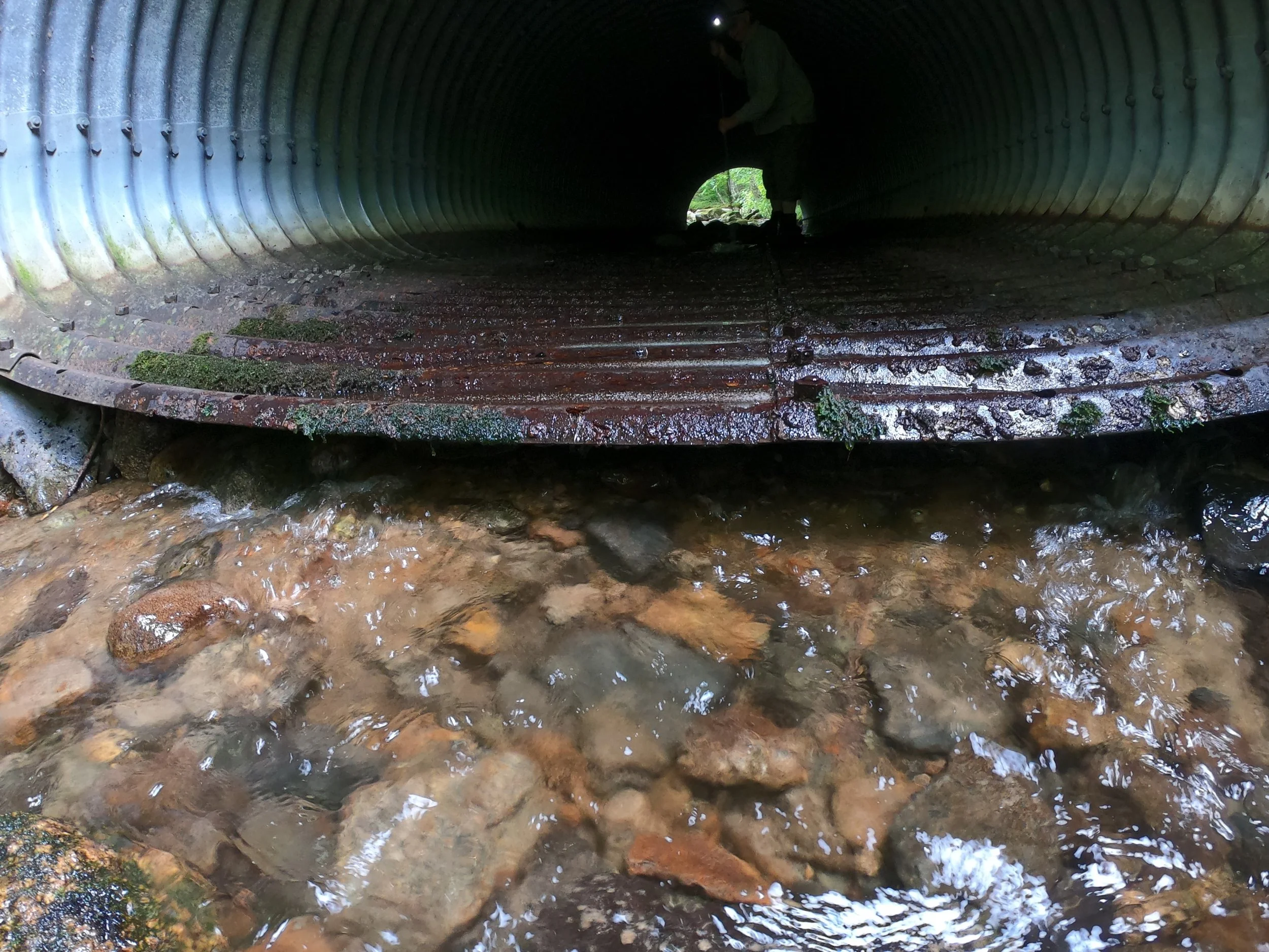 HOLISTIC STREAM ASSESSMENT/RESTORATION: UNNAMED BROOK, NEW HAMPSHIRE ...