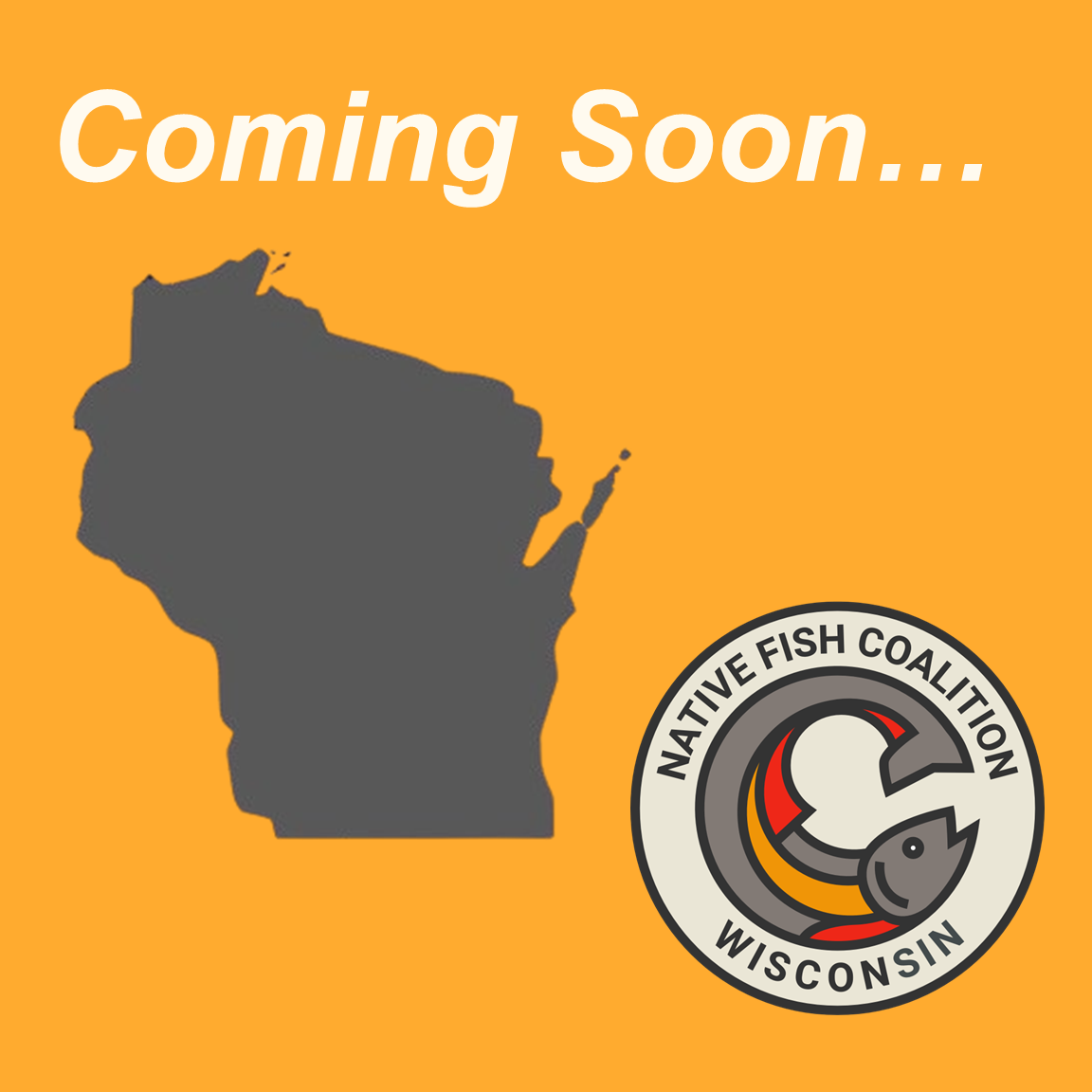 Blog — Native Fish Coalition