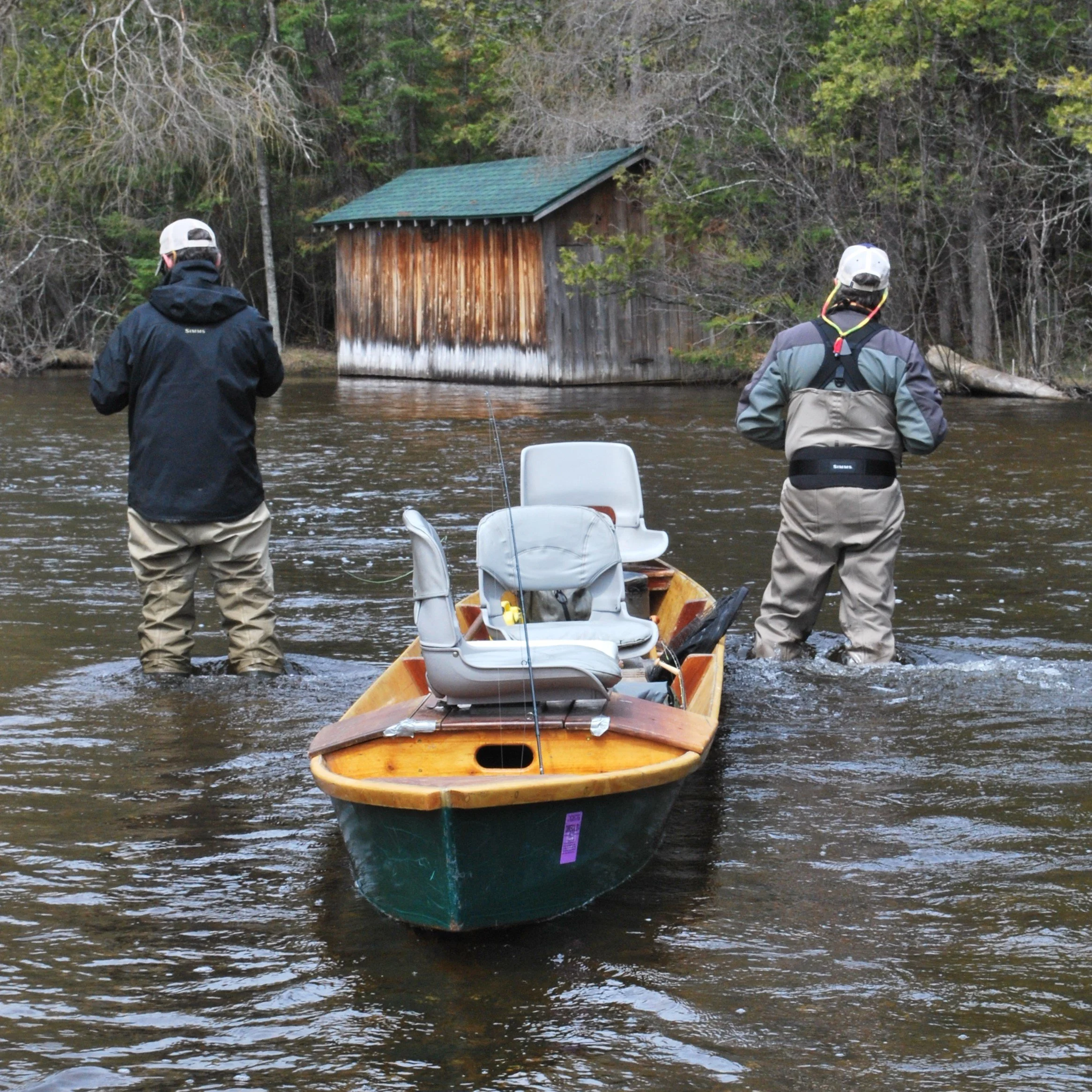 Michigan — Native Fish Coalition
