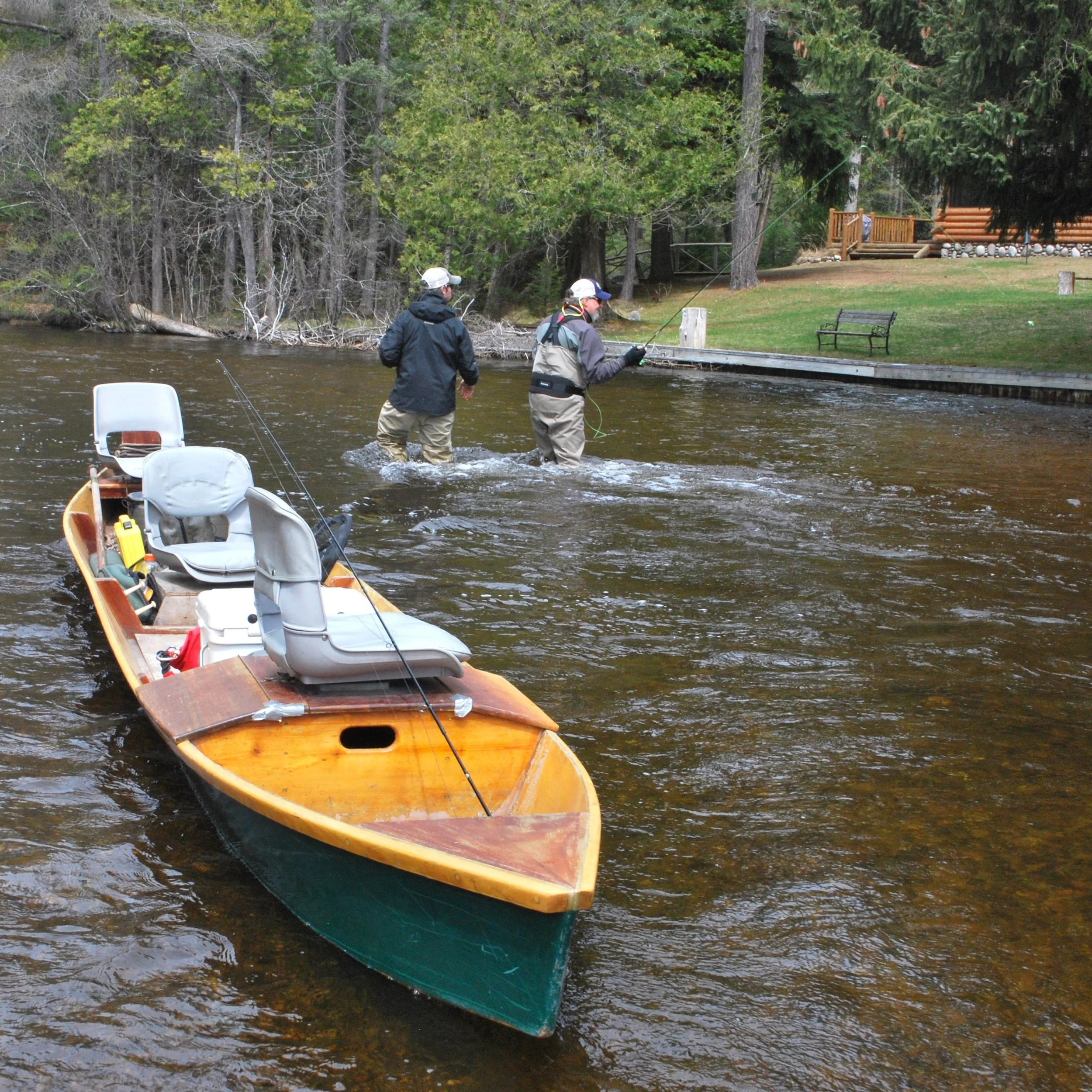 Michigan — Native Fish Coalition