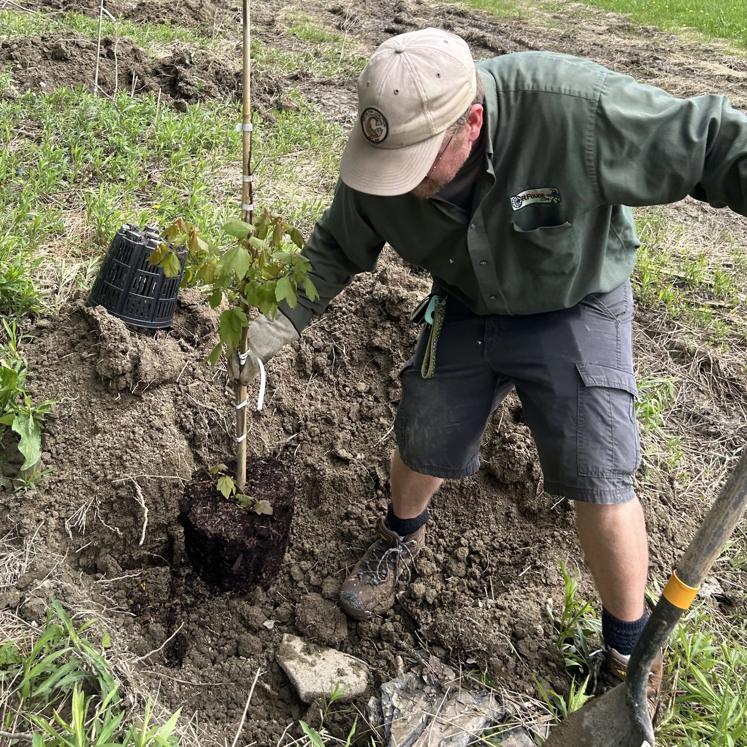 NY NFC and Al Hazzard TU Post Informational Signs and Plant Trees ...