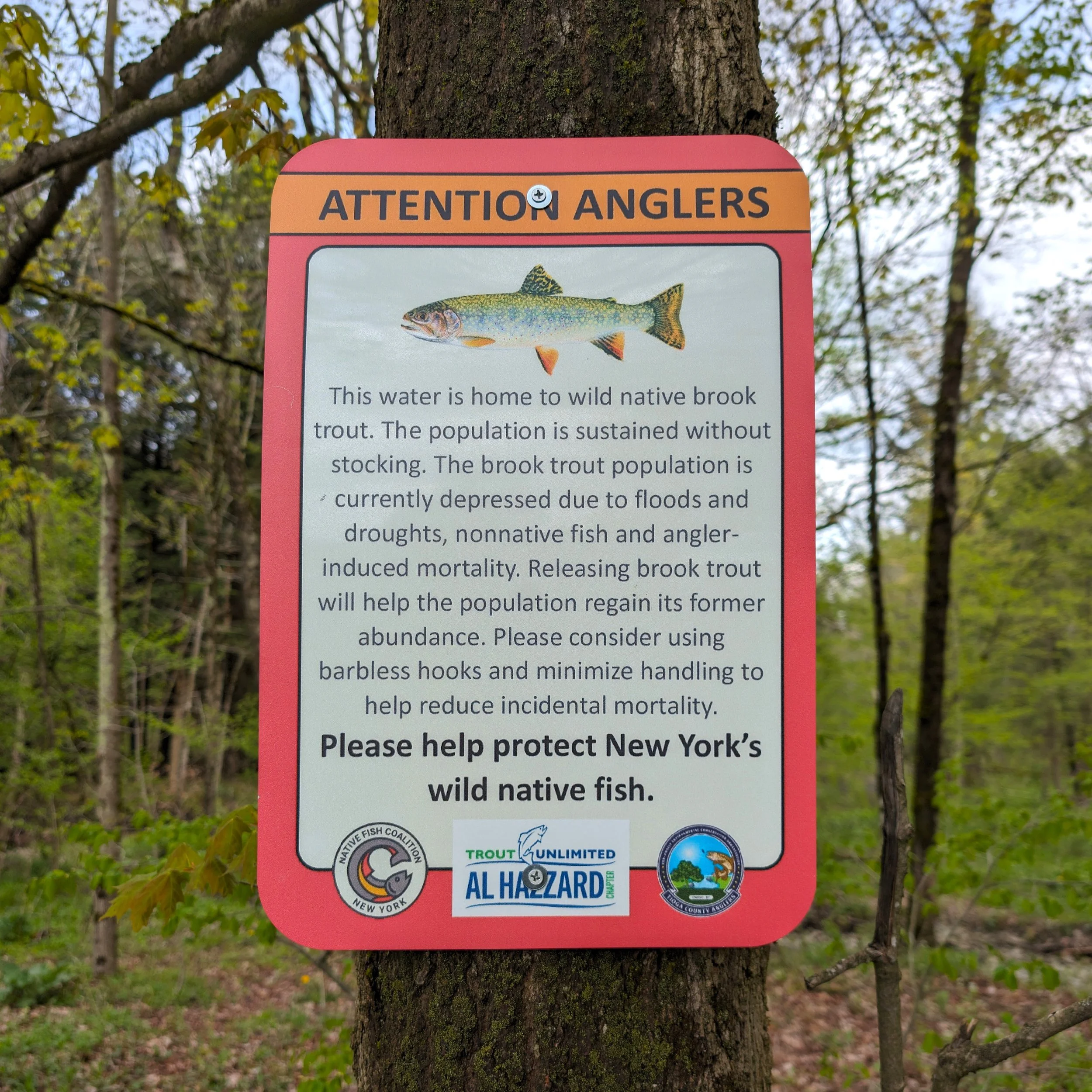 NY NFC and Al Hazzard TU Post Informational Signs and Plant Trees ...