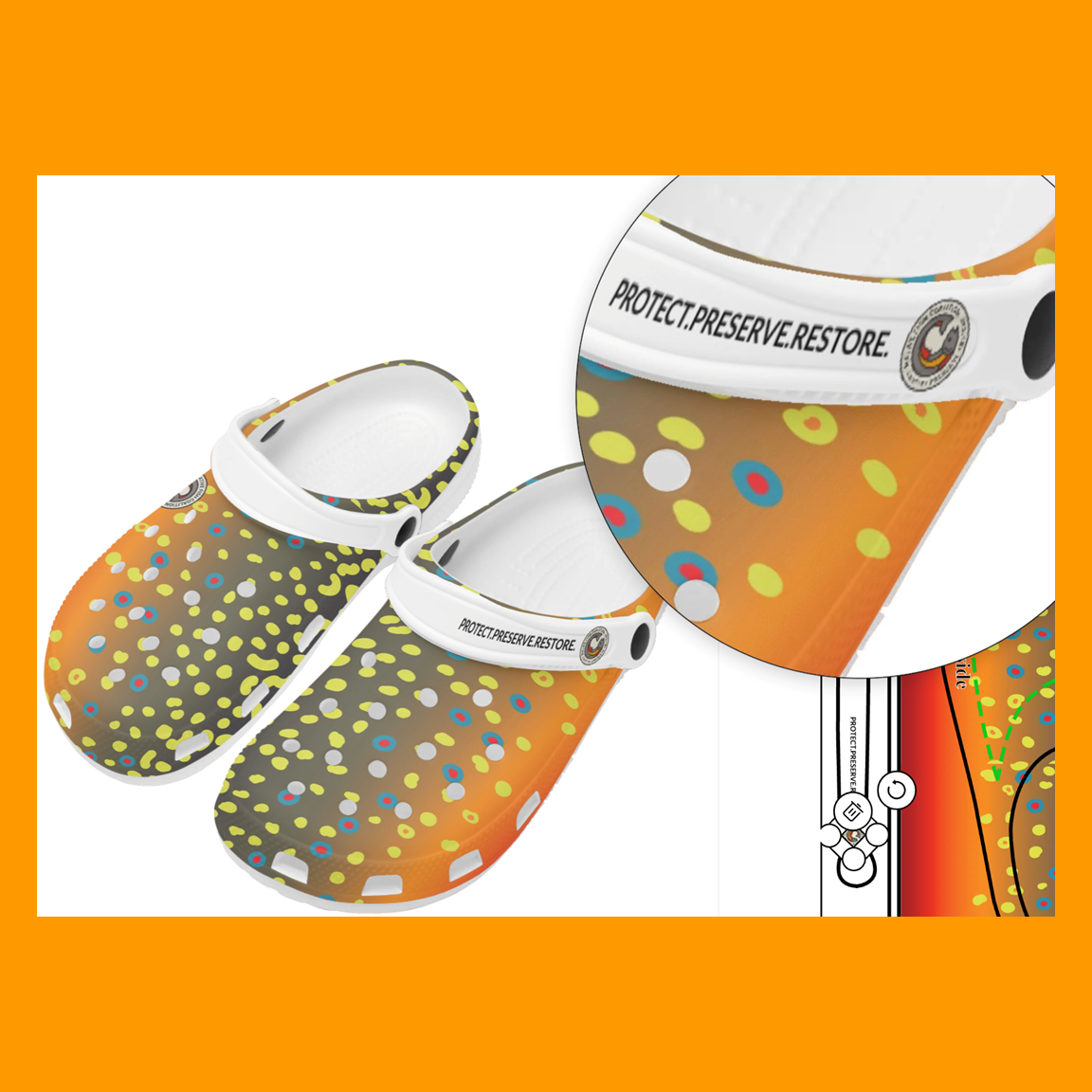 Campaigns — Native Fish Coalition